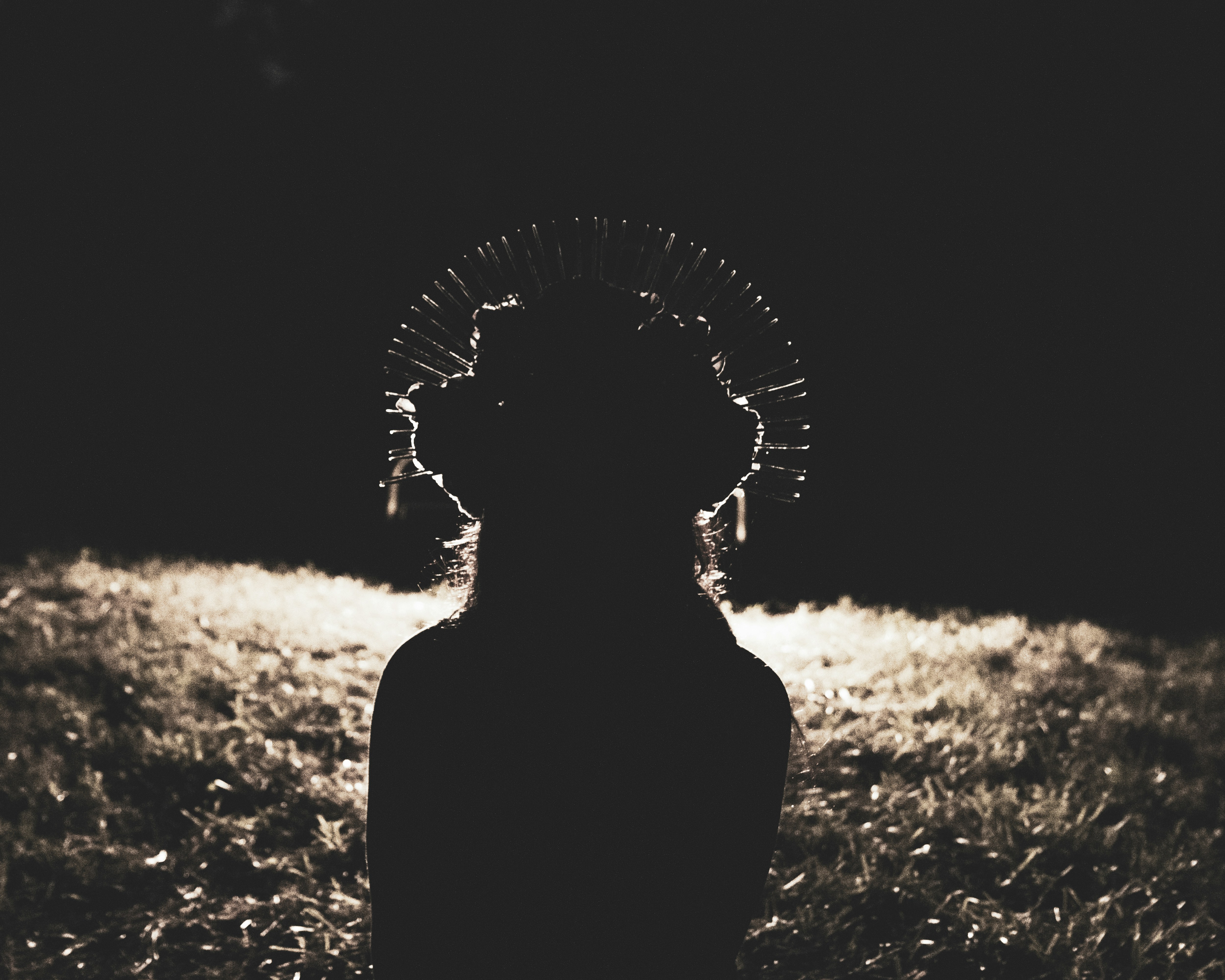 Halo of Dusk: Silhouette in Backlit Field