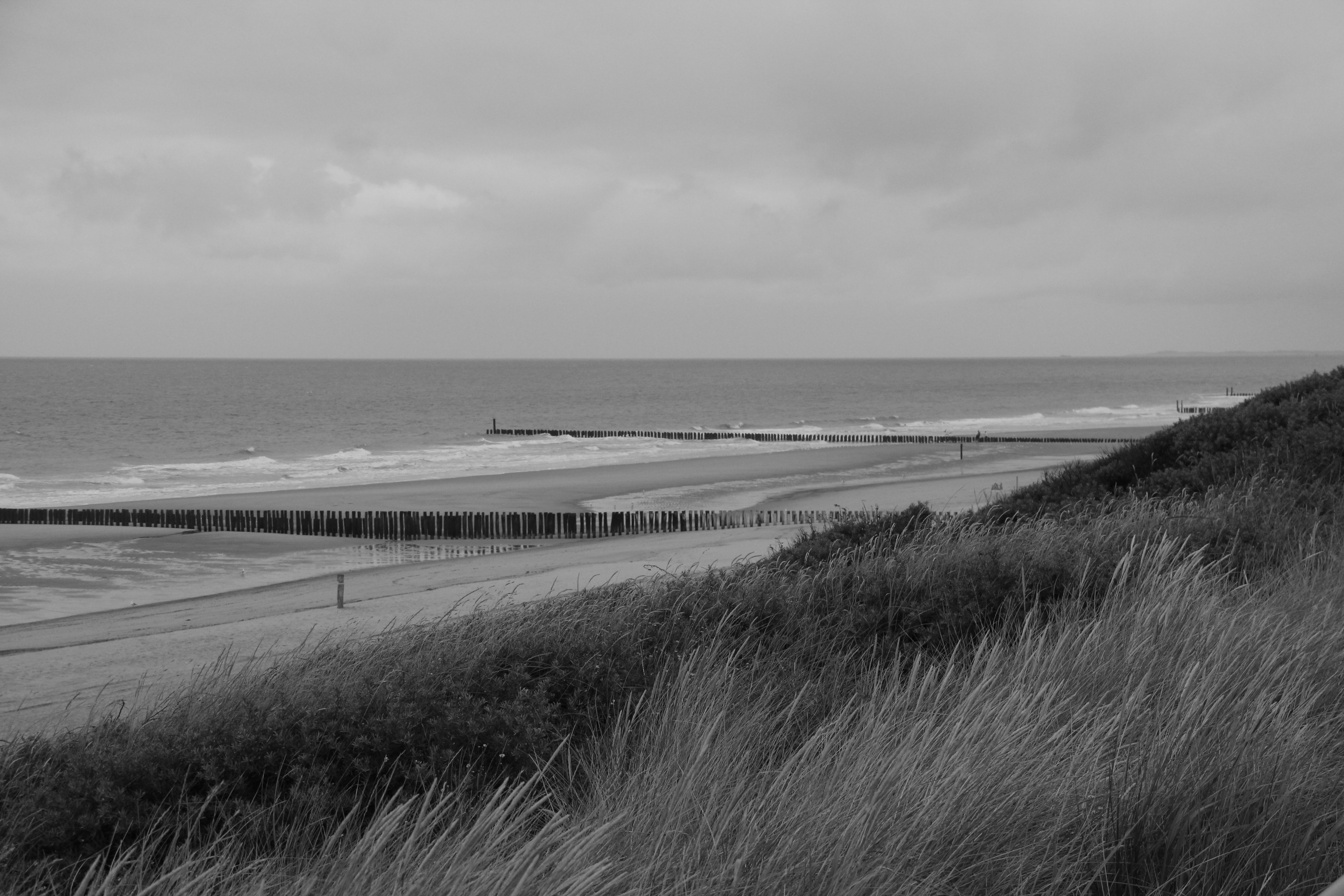 Foto zum Thema Ein Strand mit Wellen, die darauf stürzen – Kostenloses ...
