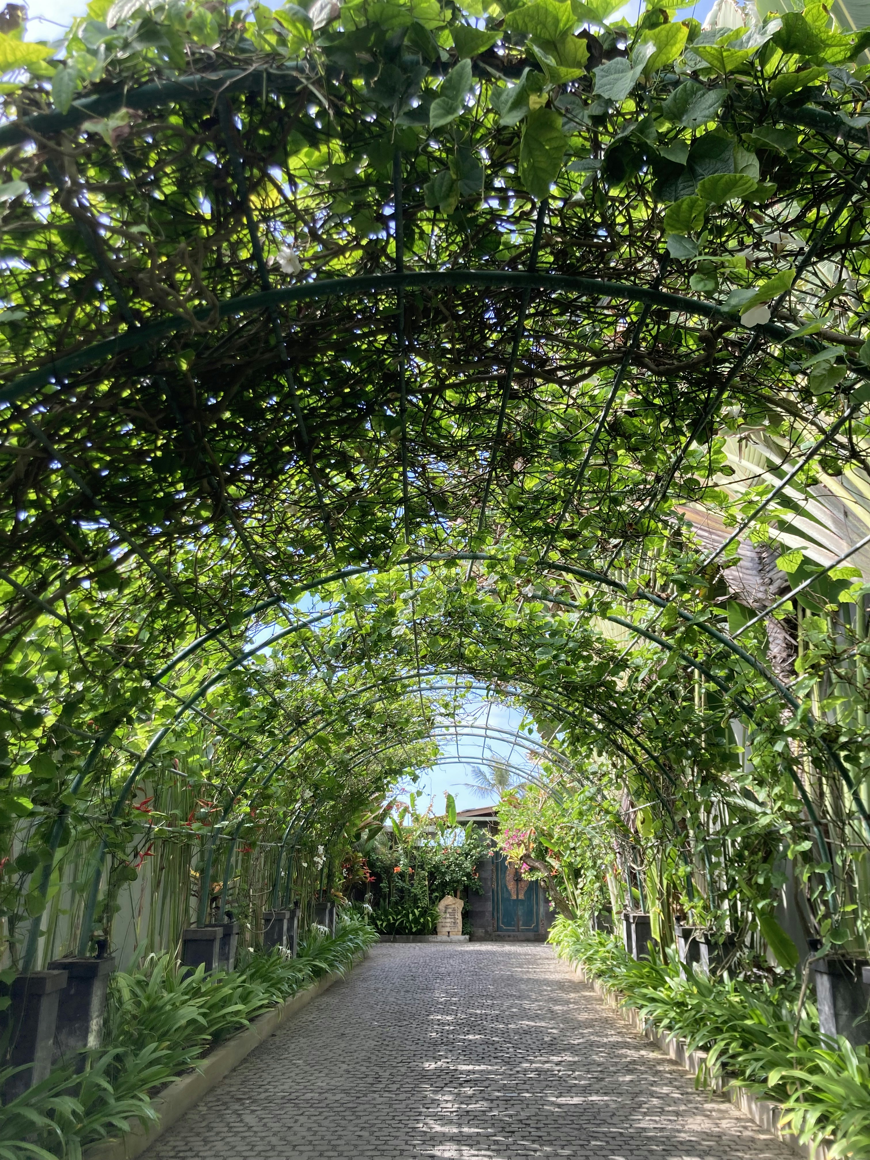 Lush greenery forms an arching trellis over a cobblestone pathway leading to a hidden garden entrance.