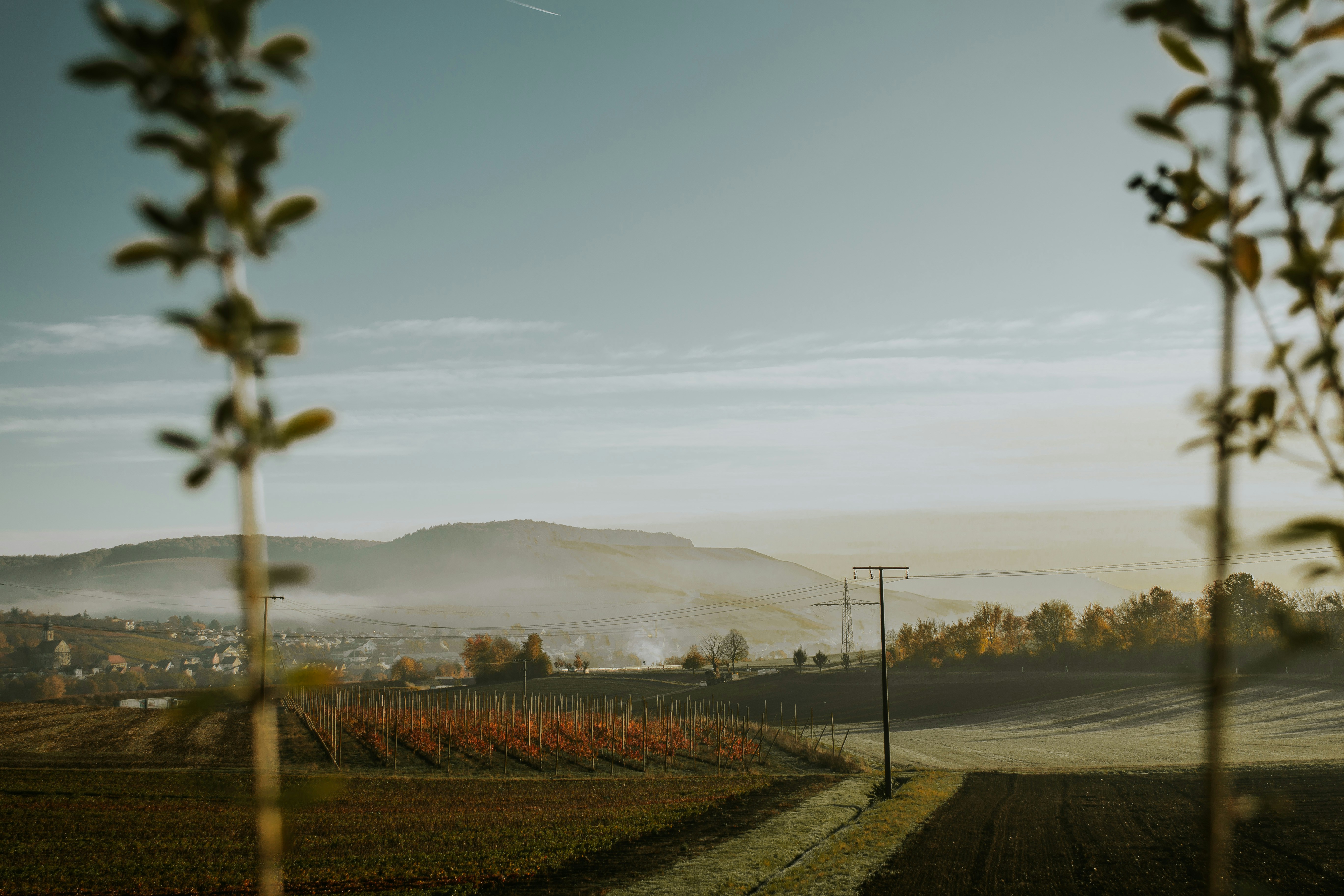 Dawn Over the Plowed Valley: Light Sketches the Quiet Horizon