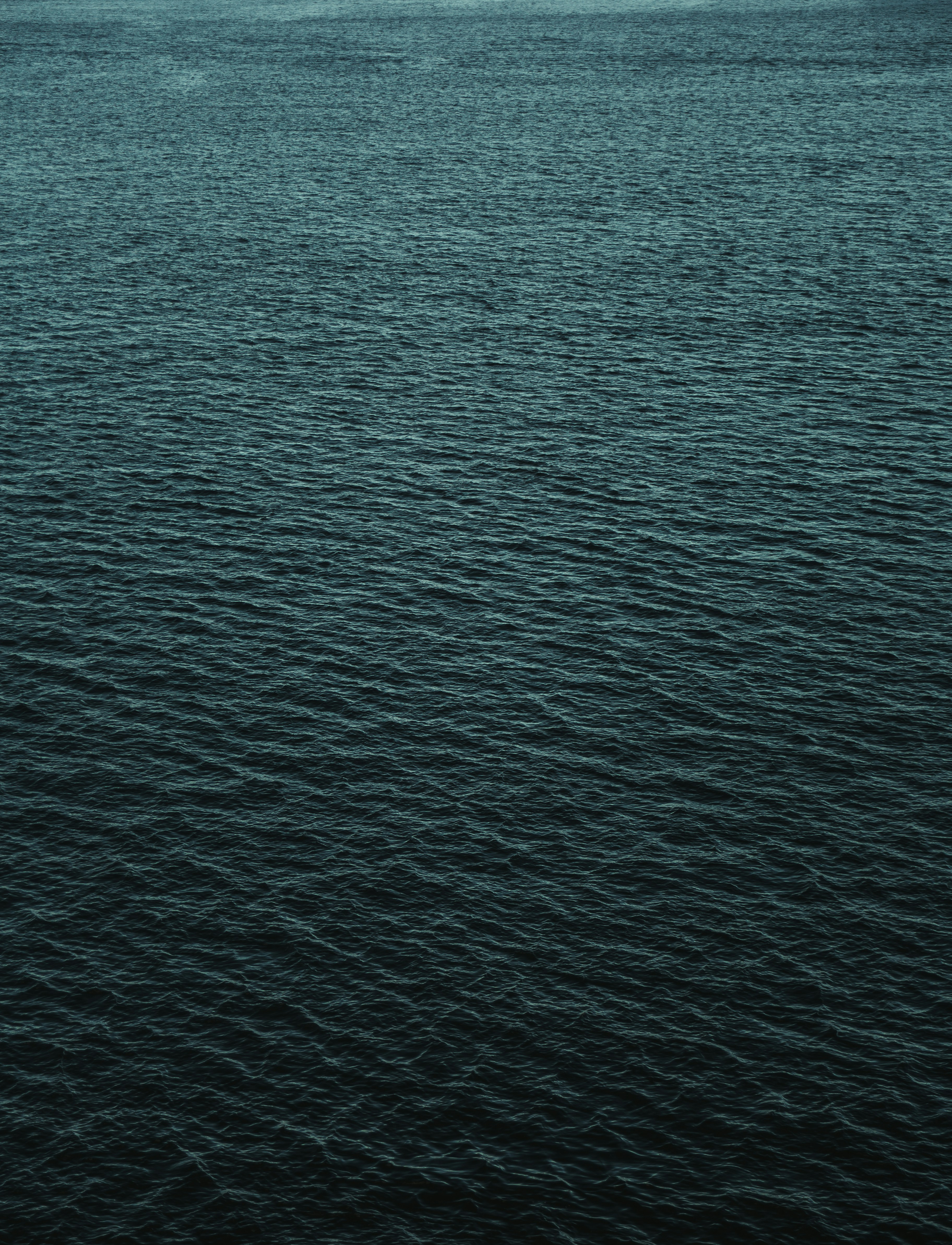 Vast expanse of dark ocean water, gently rippling under soft light. The serene surface reflects a calm atmosphere.