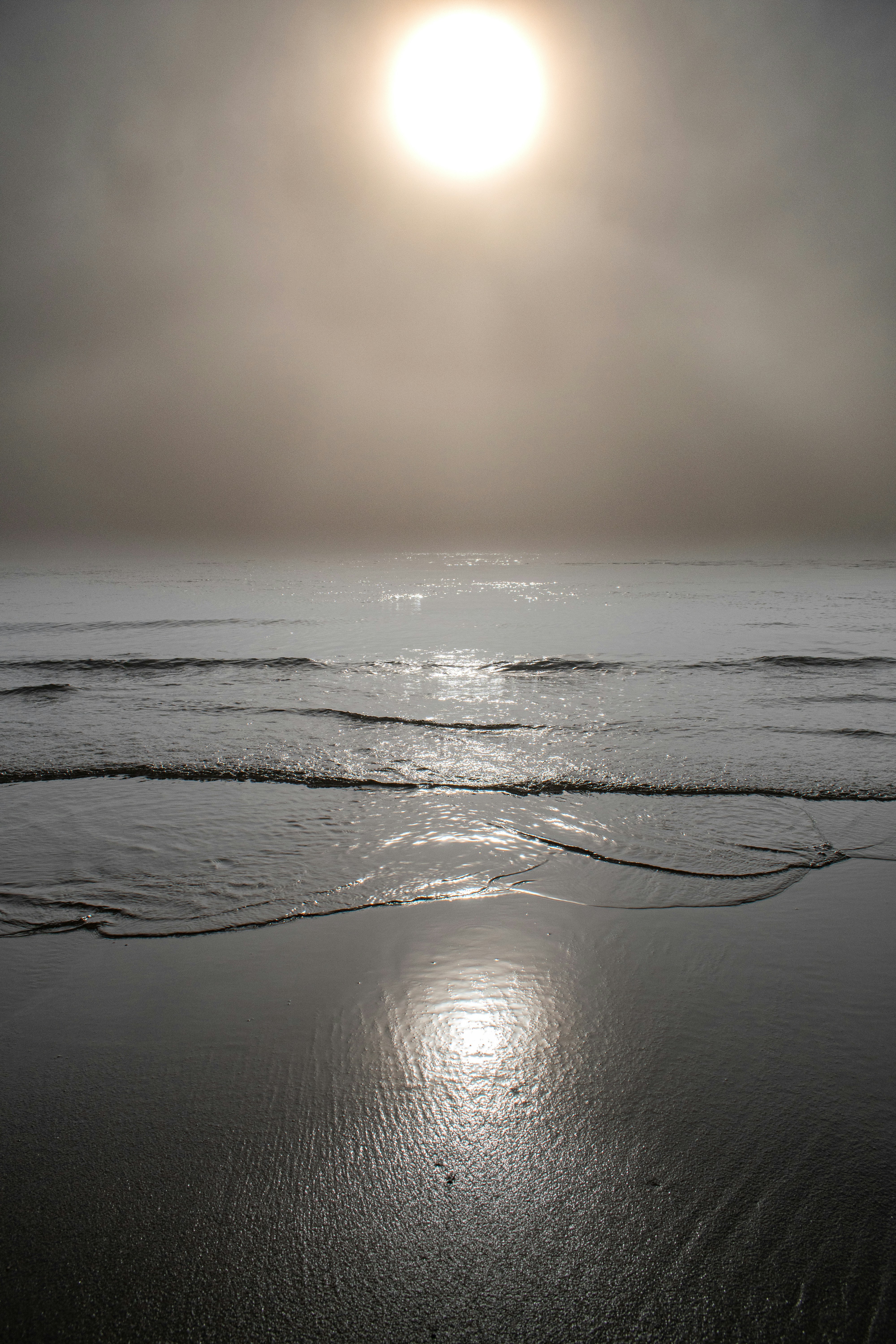 Photo by Elisa Stone with Nikon D3500