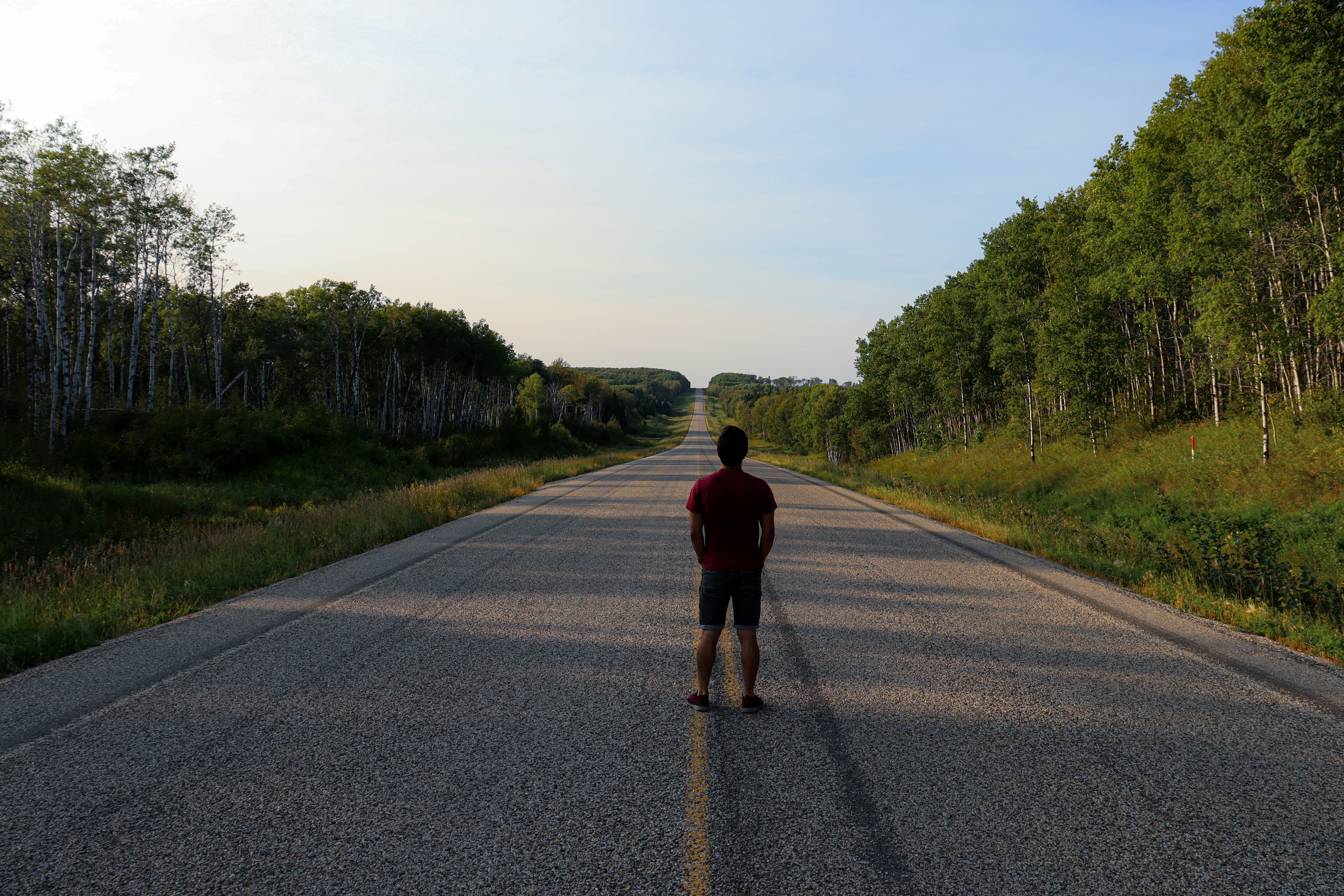 Roadside Solitude: Red on the Open Highway