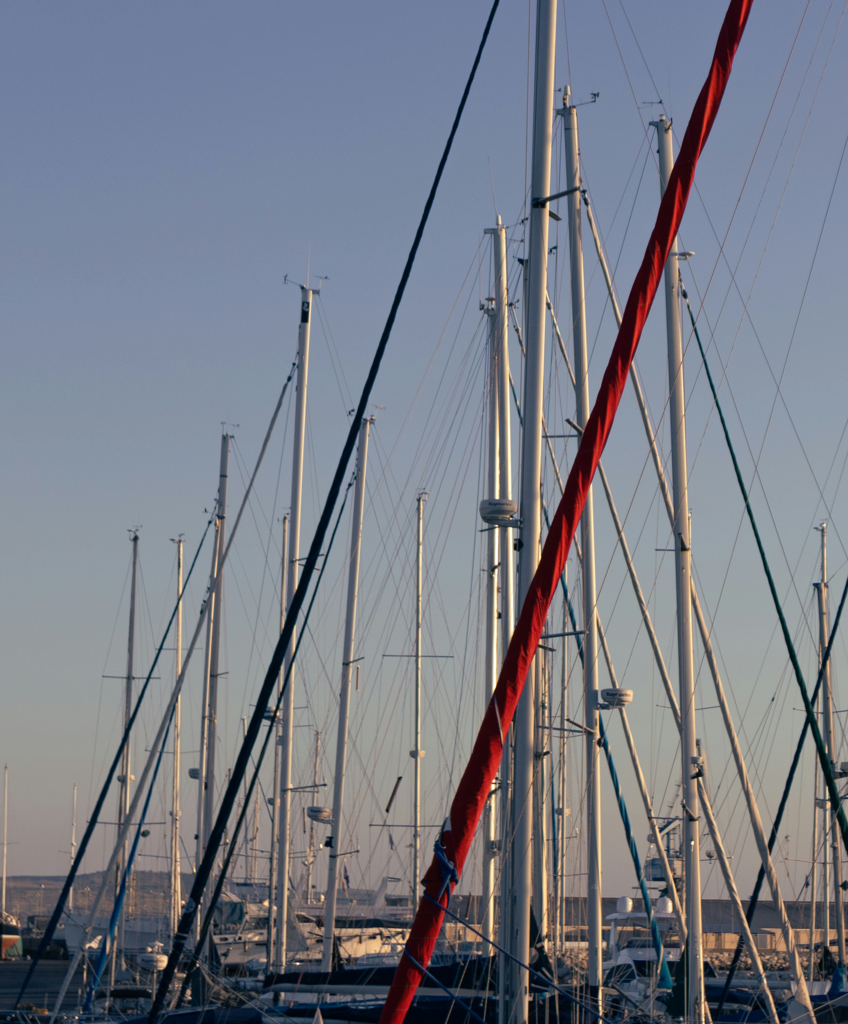 Marina Spine: A Dense Field of Sailboat Masts Under a Clear Sky