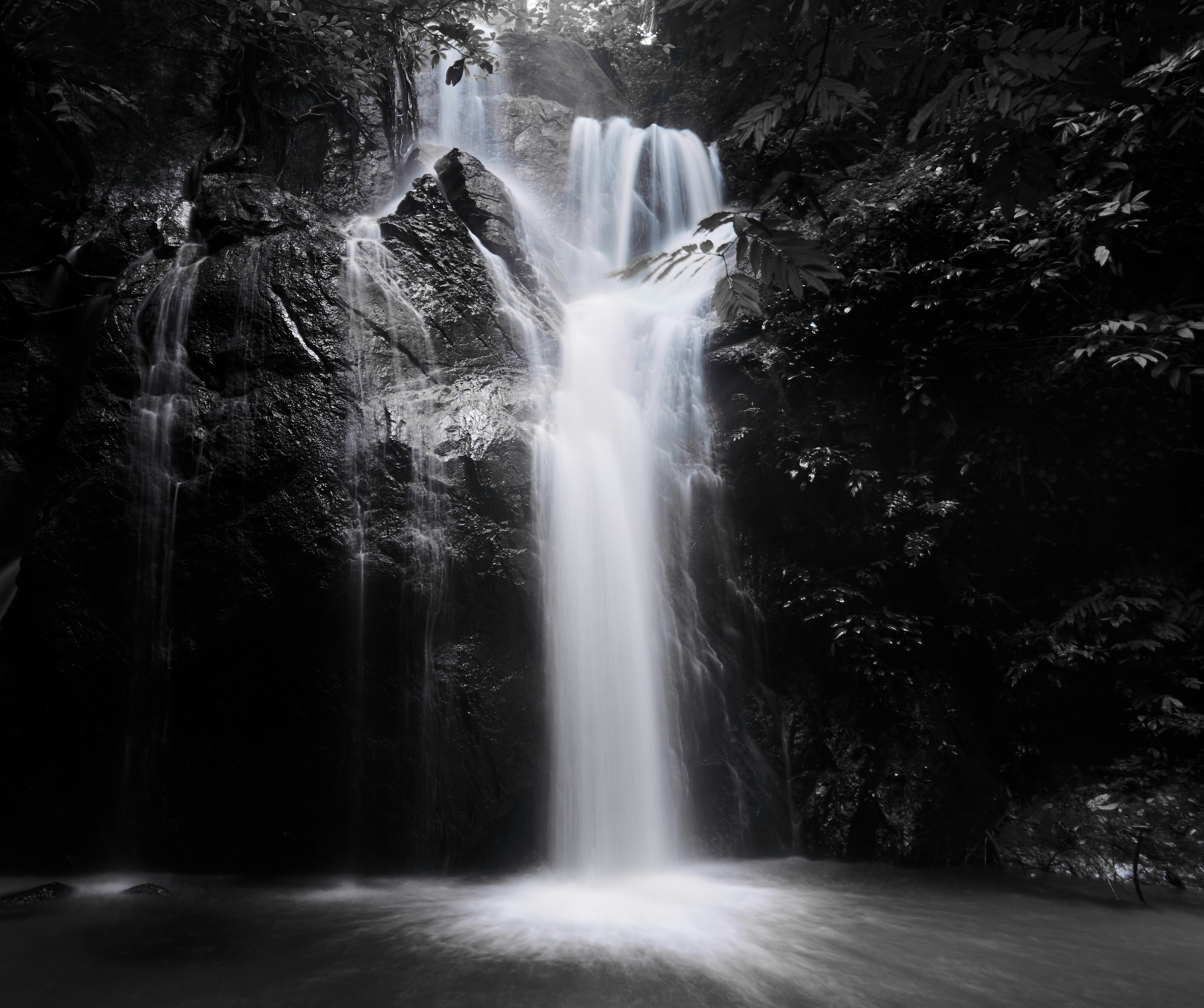 A serene waterfall cascades down rugged rocks, surrounded by lush greenery, creating a tranquil atmosphere in monochrome tones.