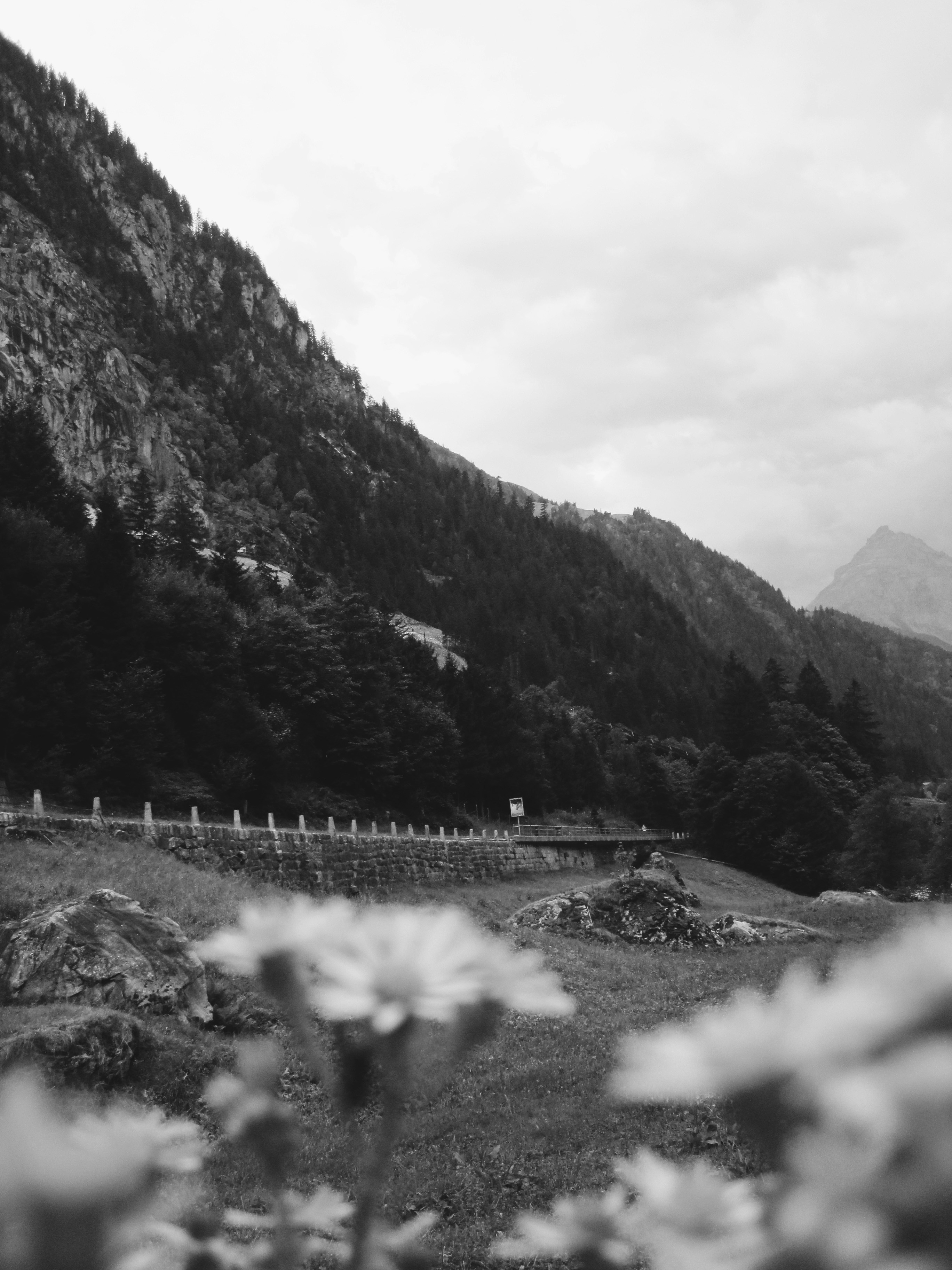 Sample photo from Canon Digital IXUS 95 IS