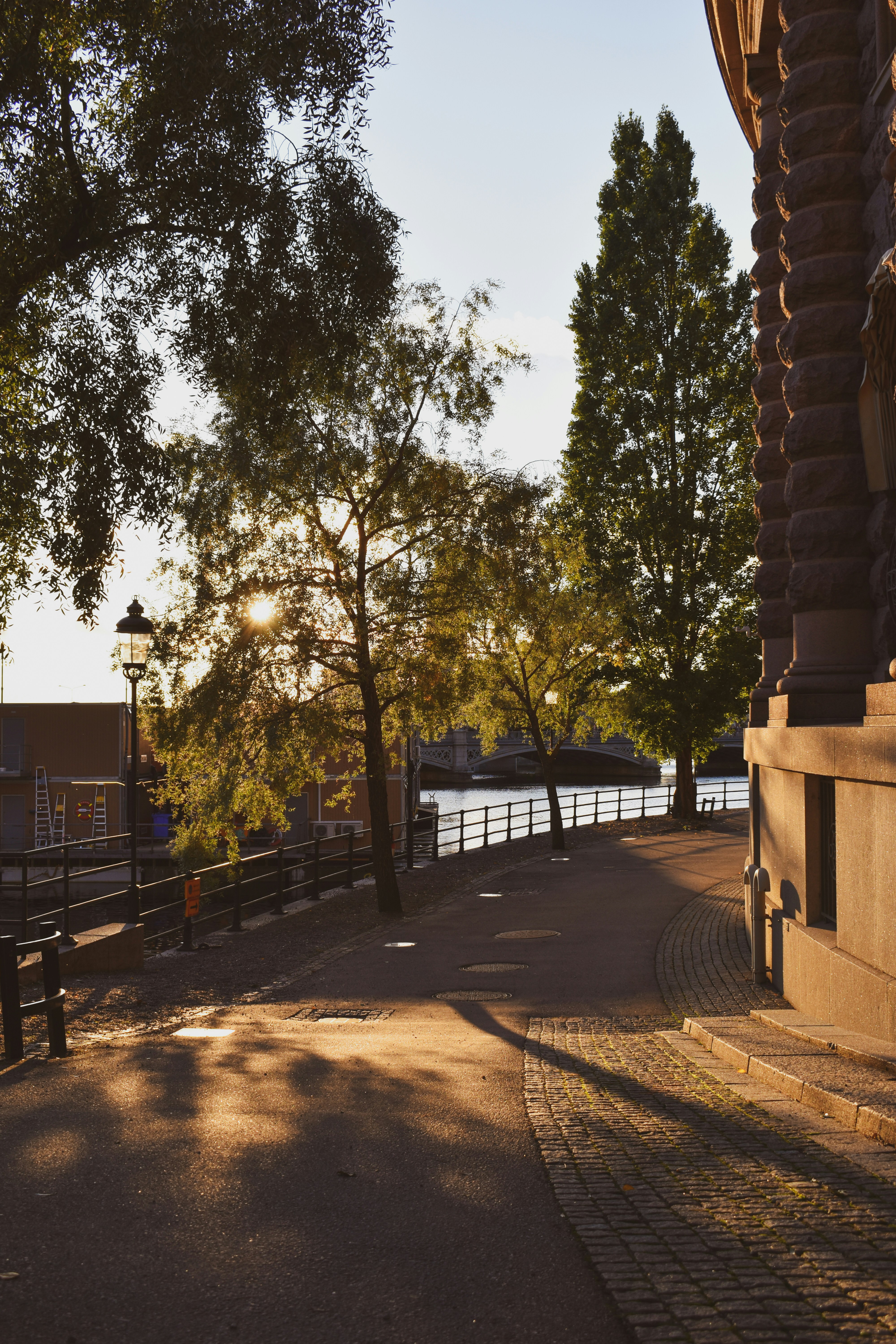 Sunlit Riverside Promenade Amid Trees and Stone Architecture