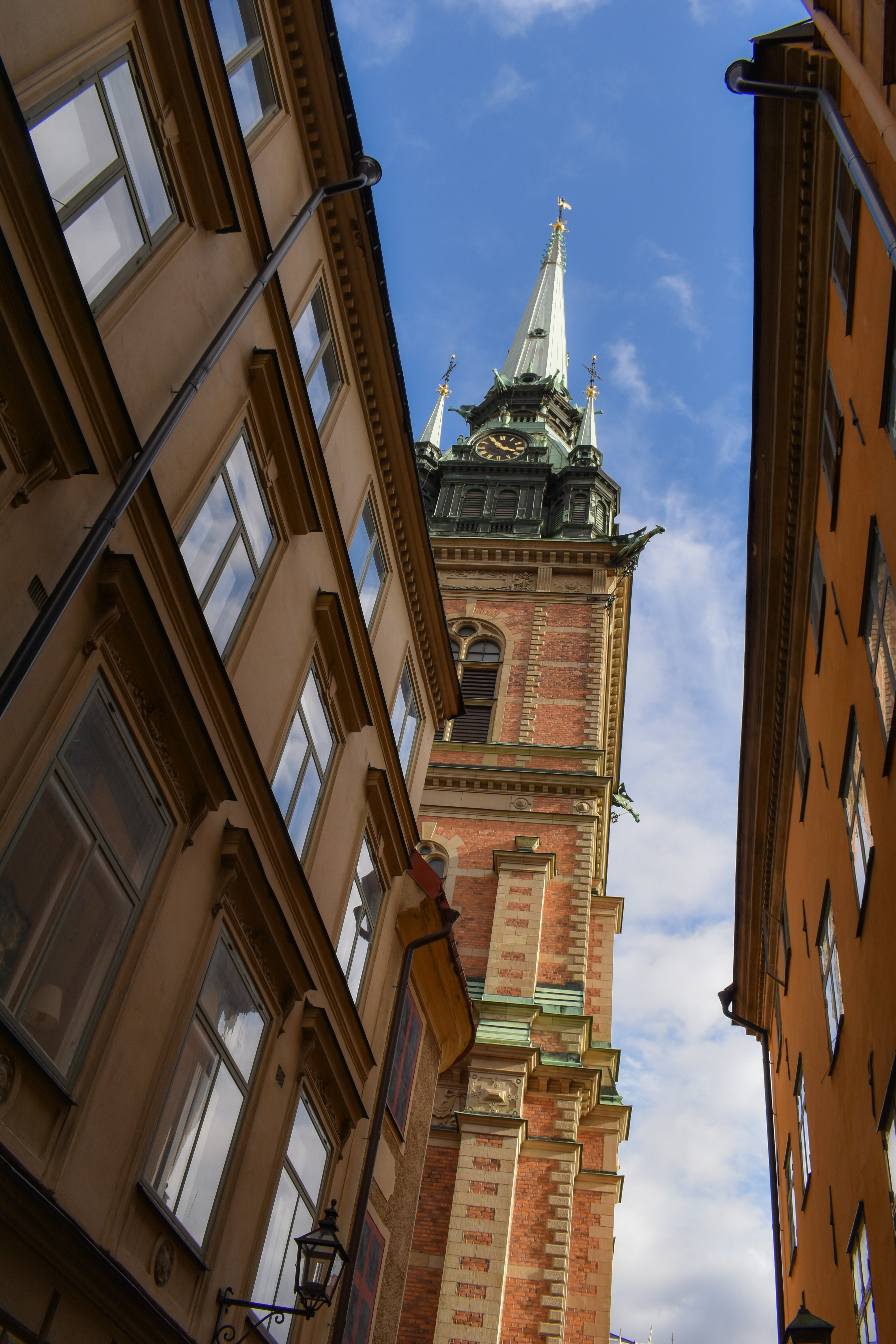 Photo by Anastasiya D with Nikon D3500