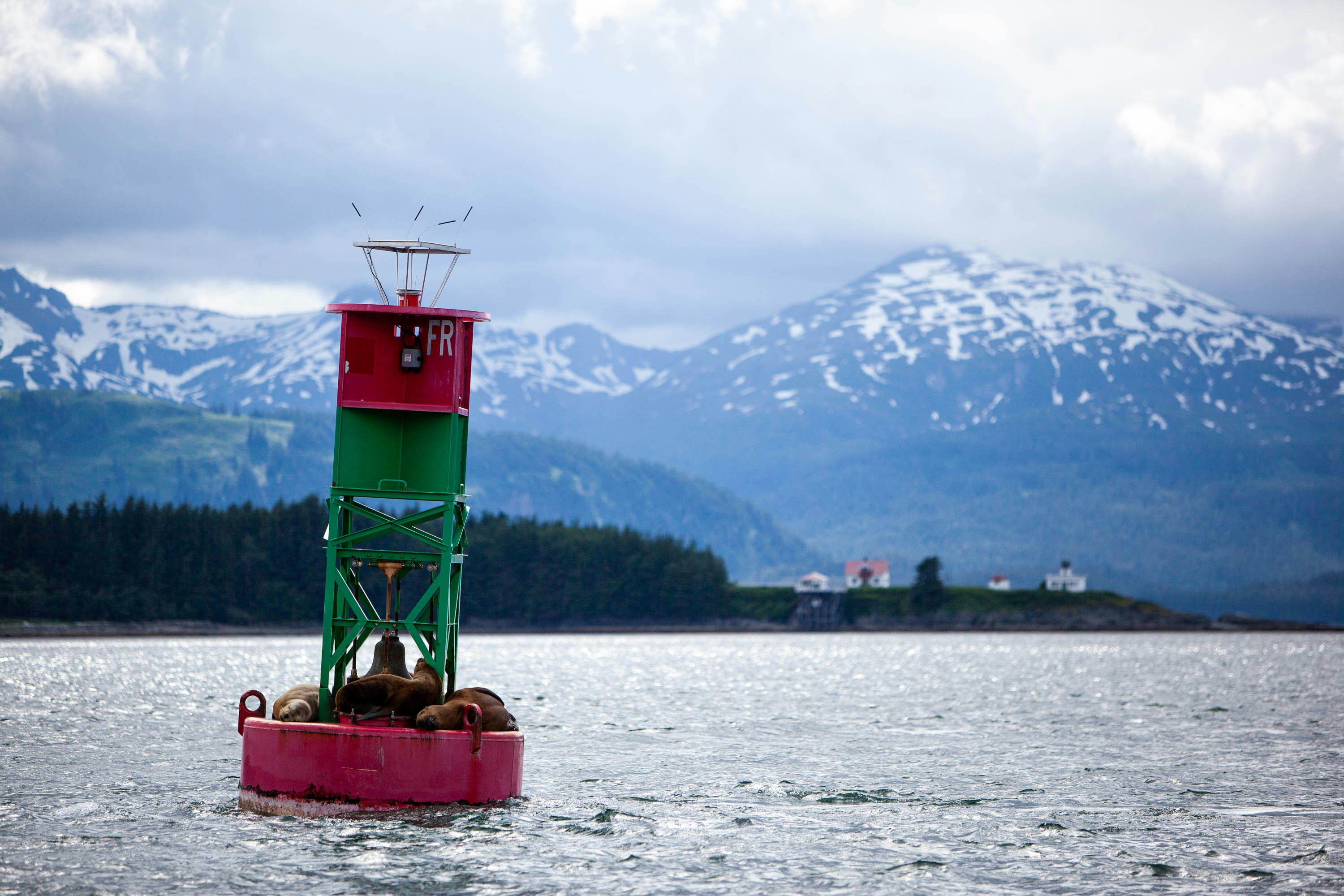 Floating Sentinel: Seals Rest on a Red-Green Buoy Beneath Snow-Dusted Peaks