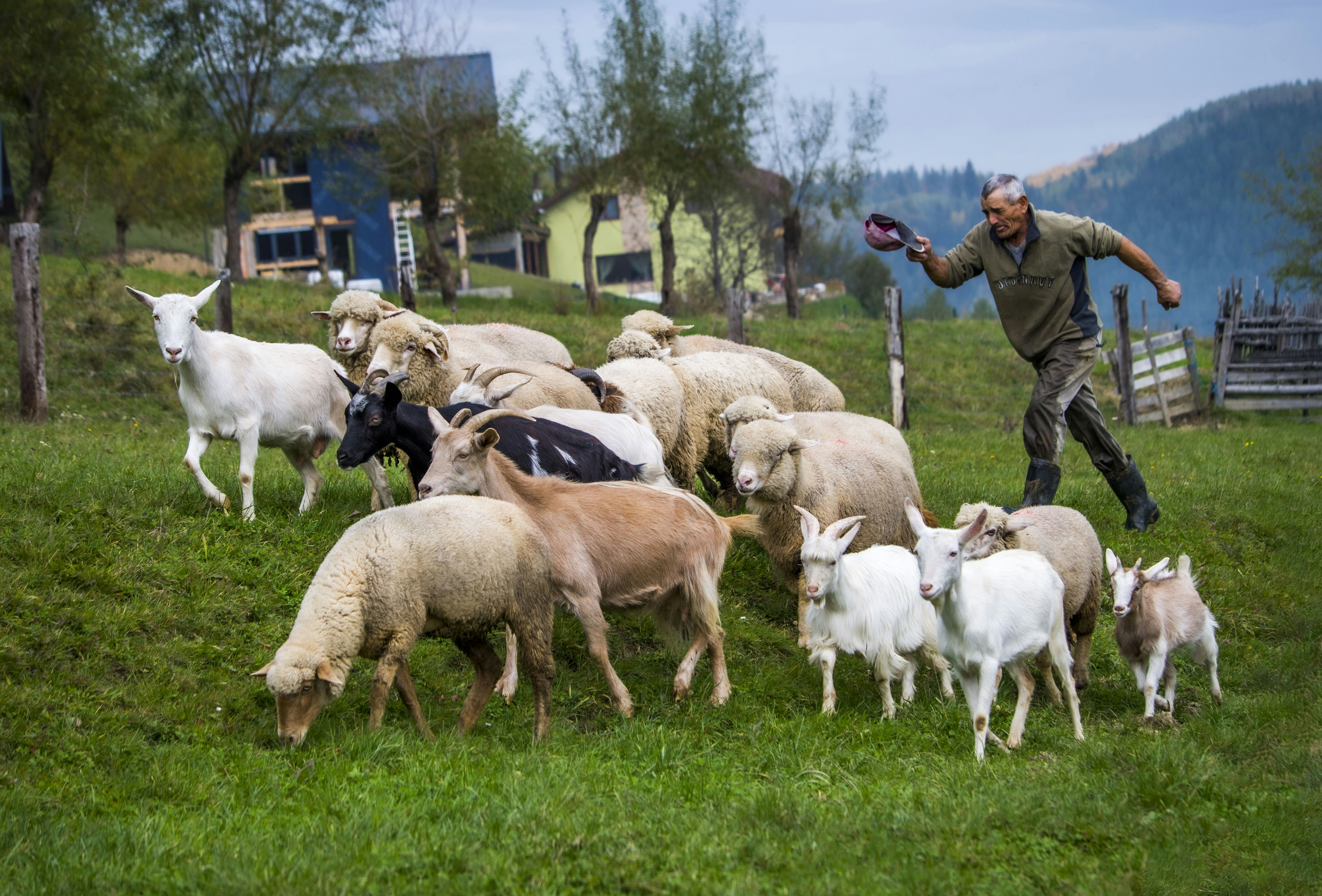 Photo by Marian Strinoiu with Nikon D610