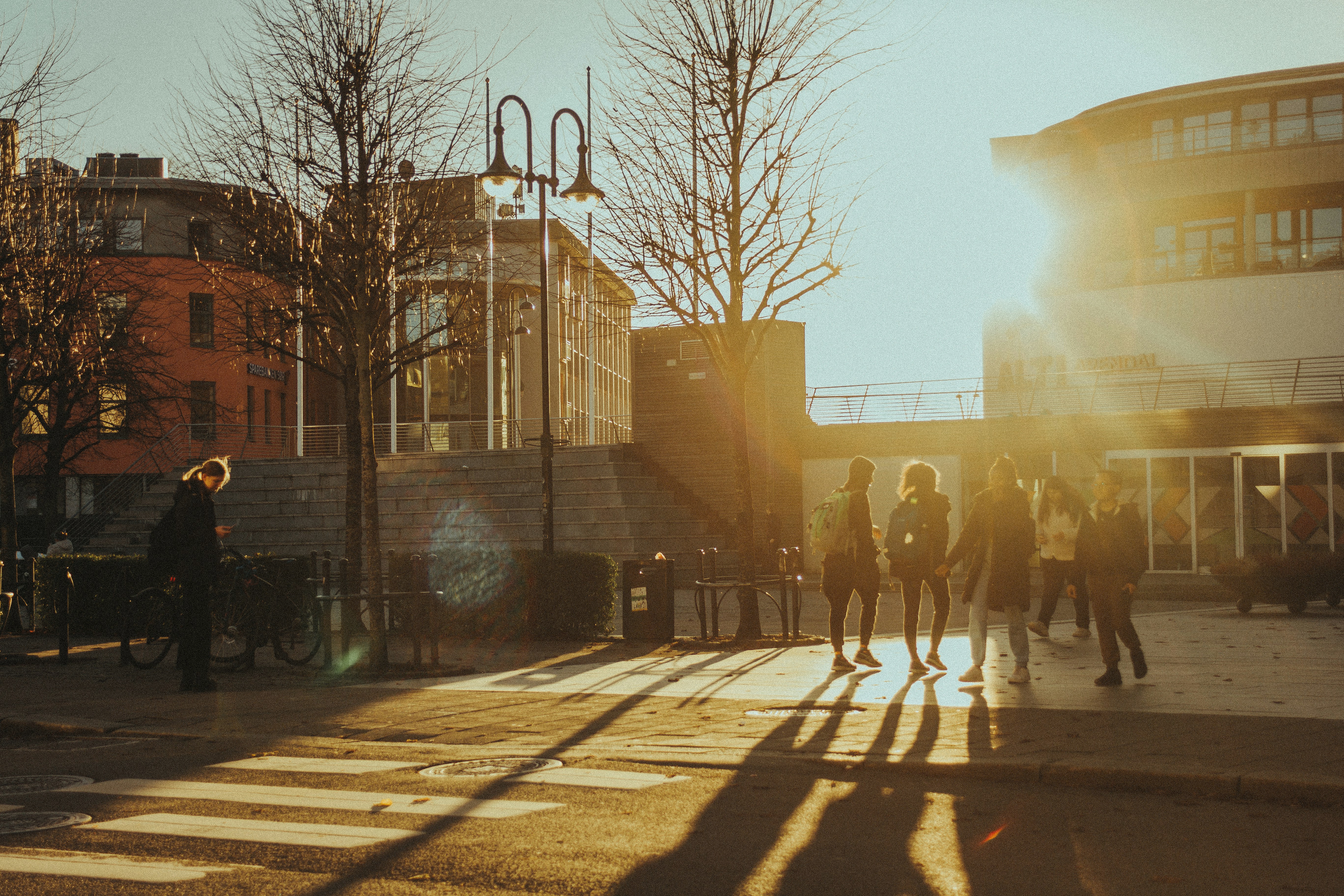 Silhouetted figures walking in an urban setting during golden hour, with sunlight creating a warm glow and long shadows. Trees and modern architecture frame the scene.