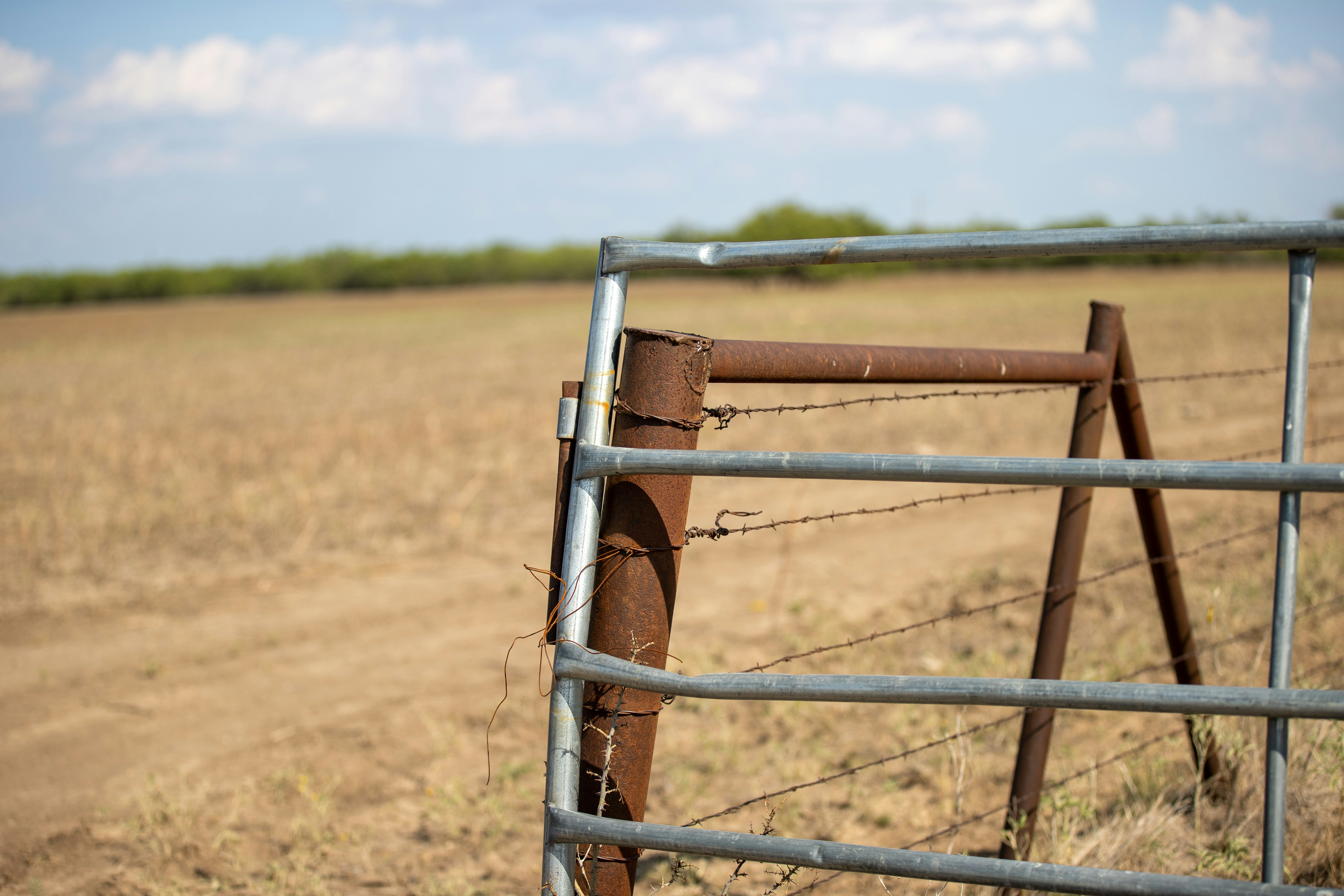 Weathered Gate Framing a Quiet Prairie Horizon