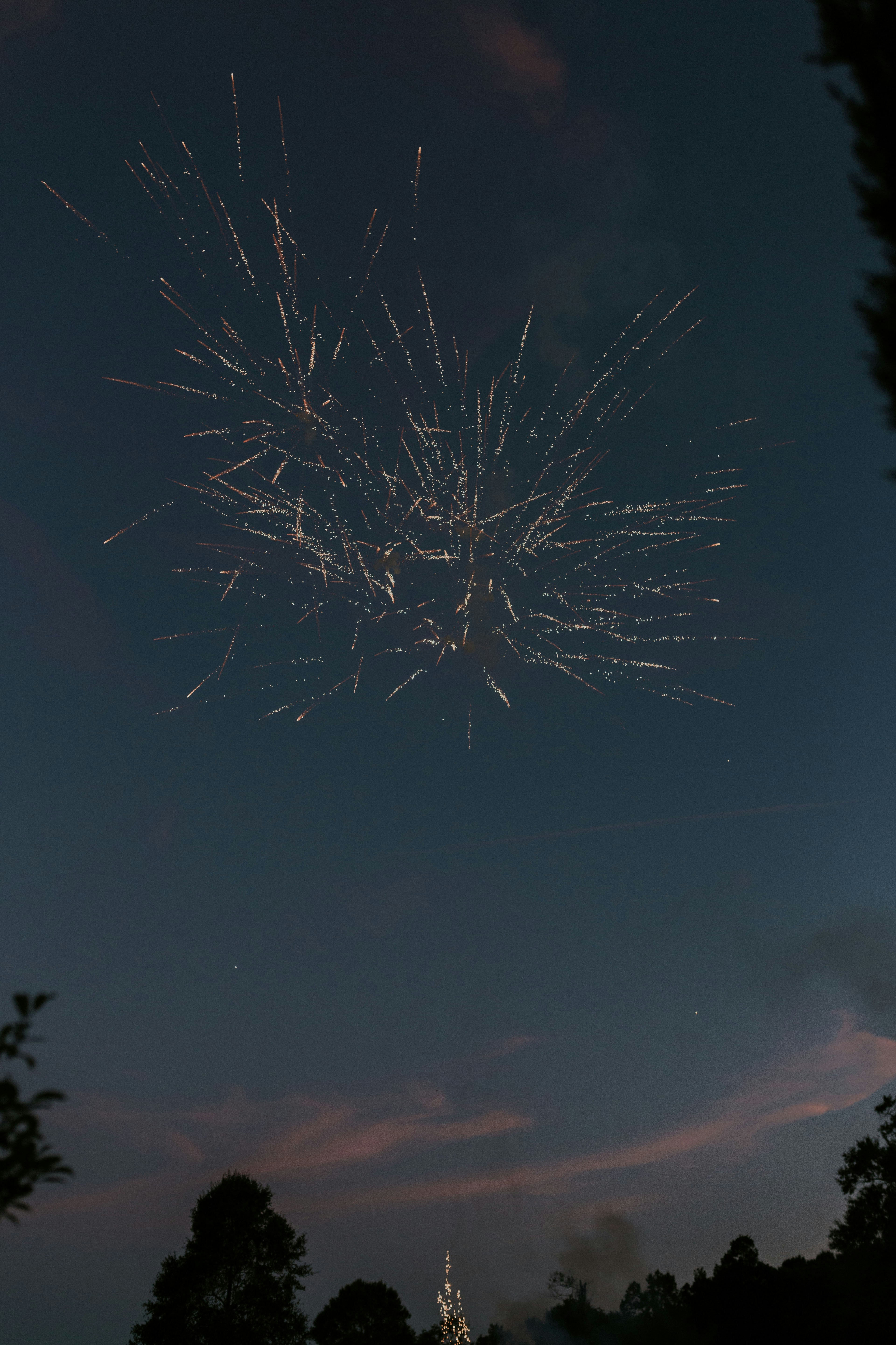 Photo by Caitlyn Wilson with Canon EOS 5D Mark III