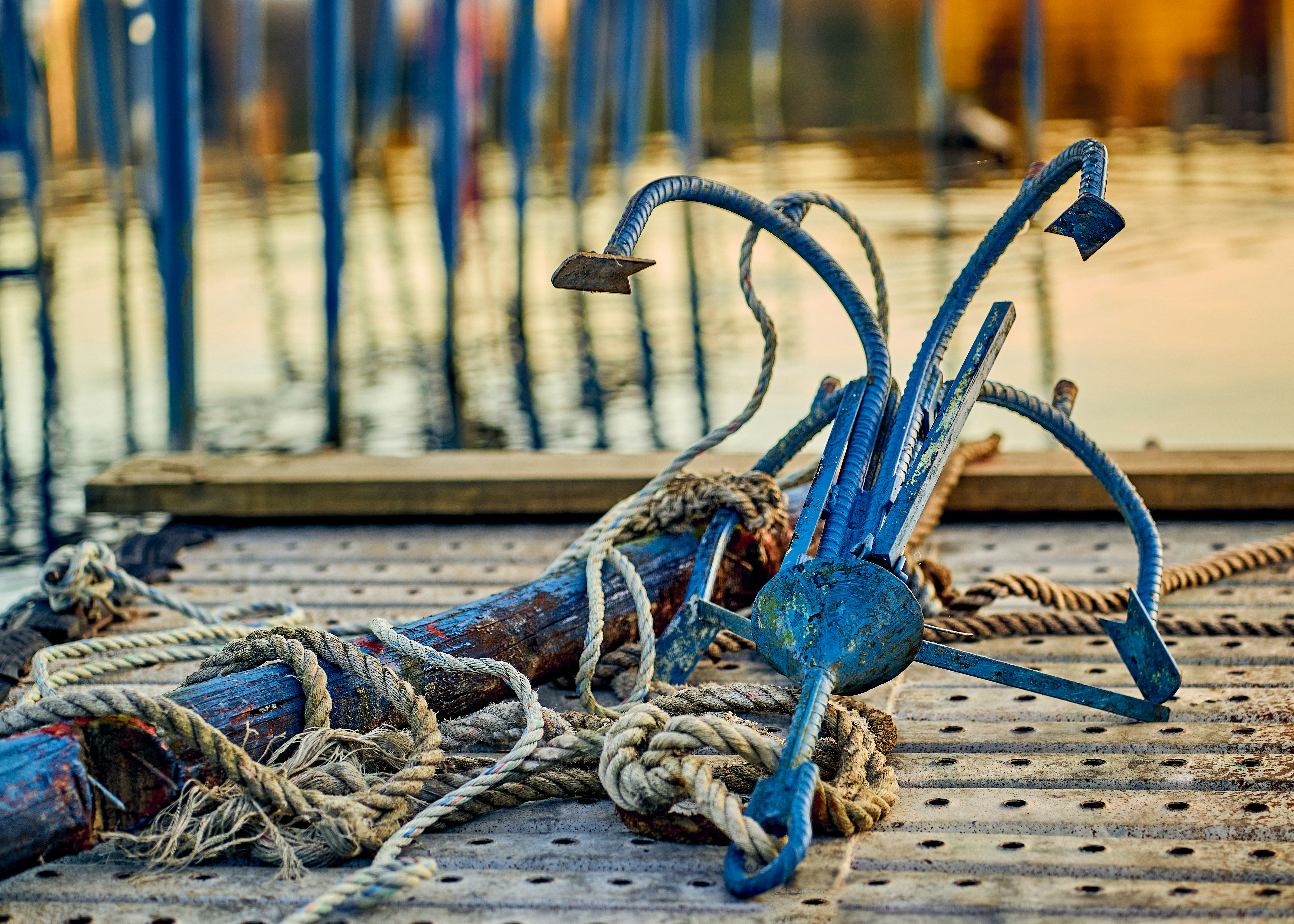 Un gros homard sur une surface en bois photo – Photo Chili Gratuite sur ...