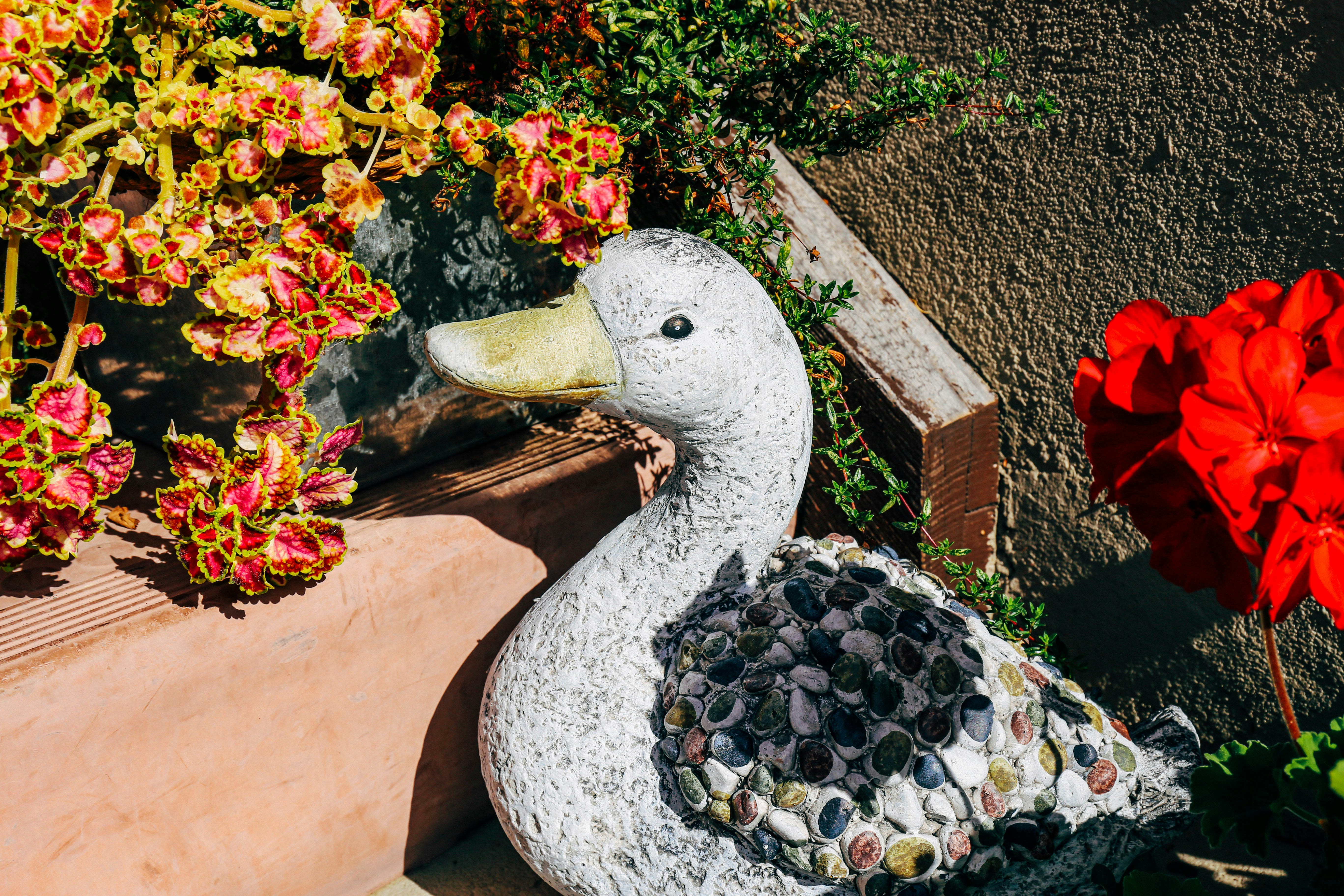 Stone Duck Among Fresh B blooms by the Wall