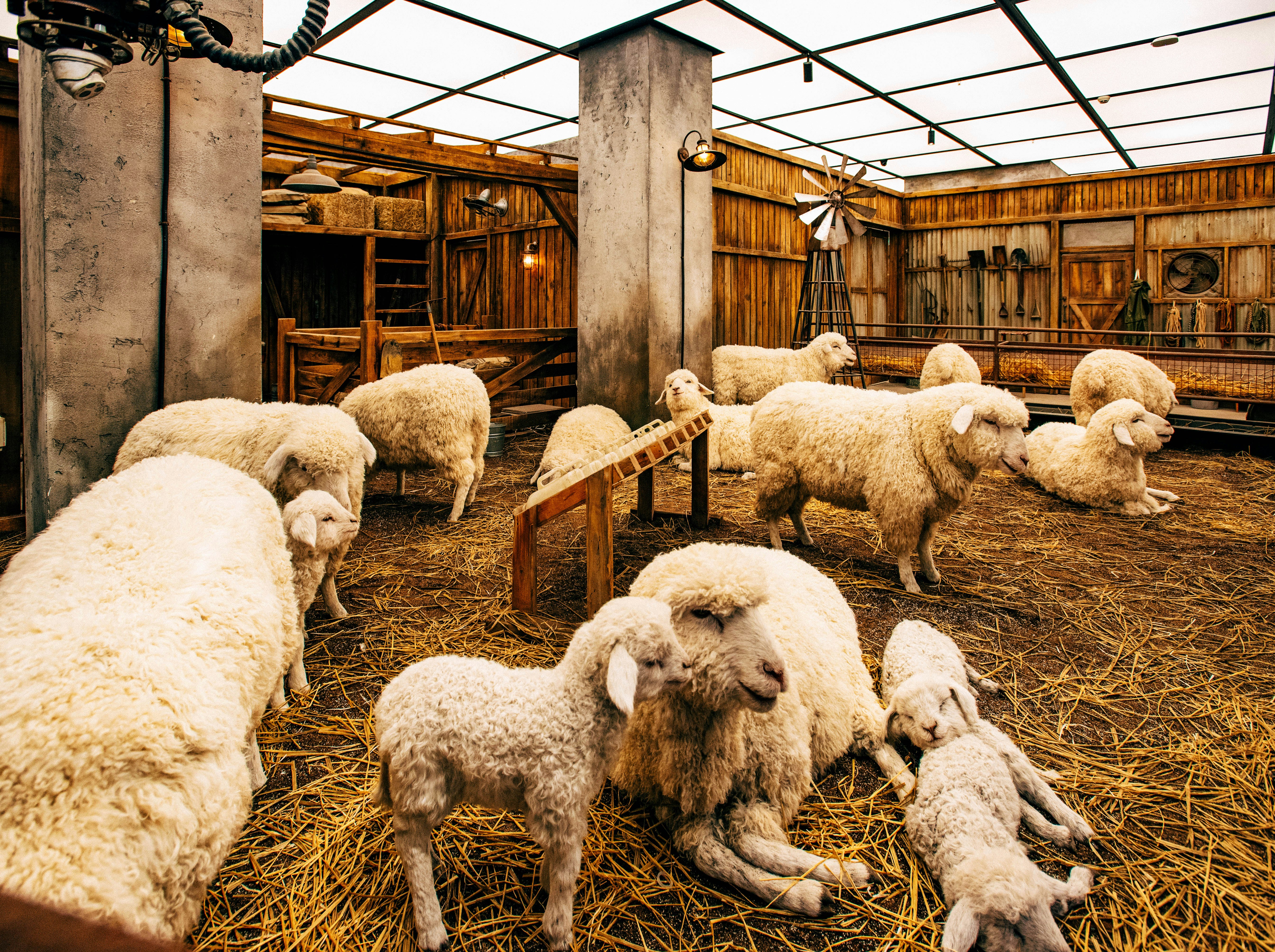 Photo by tommao wang with Nikon D750