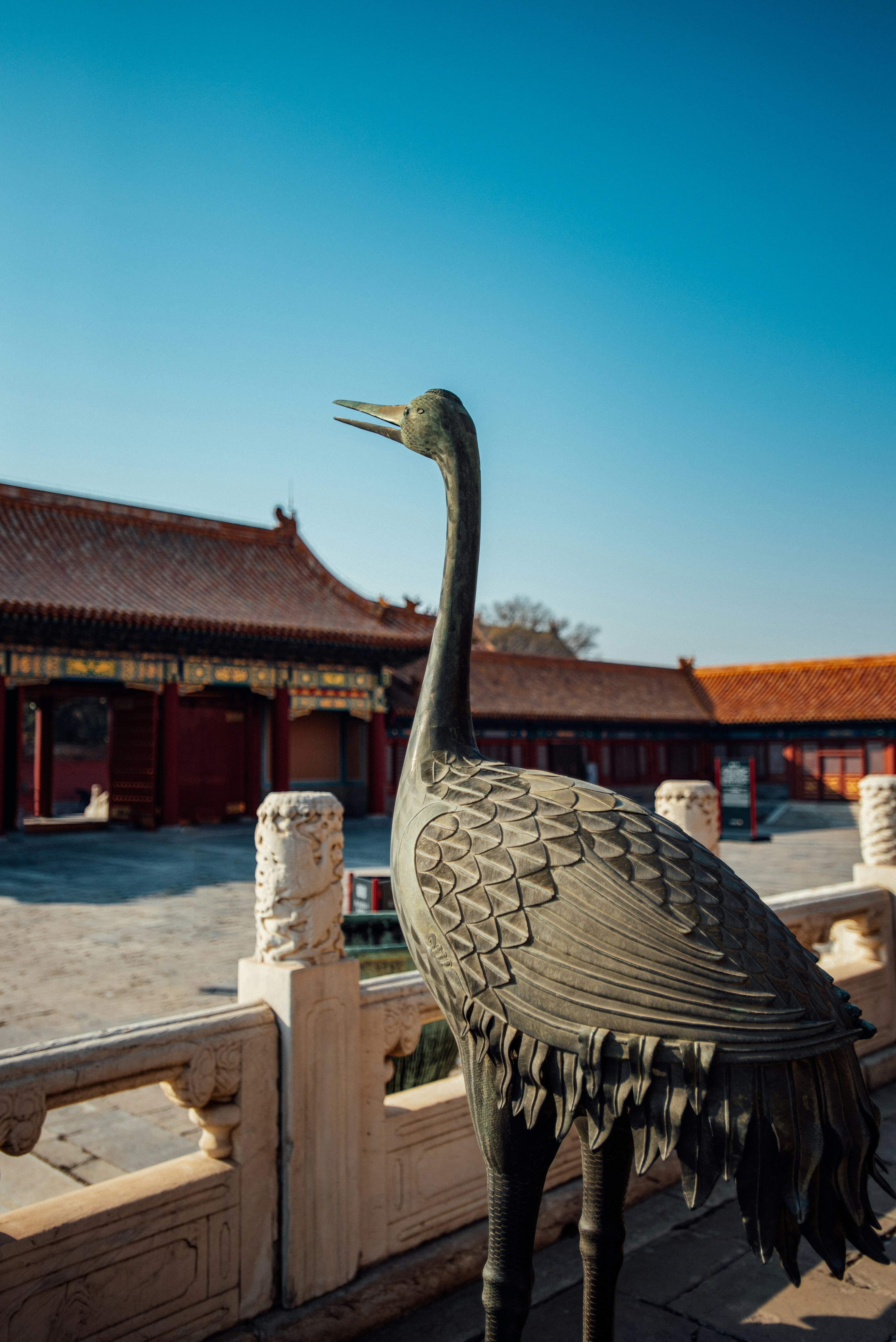 Sentinel Crane Over a Sunlit Imperial Courtyard
