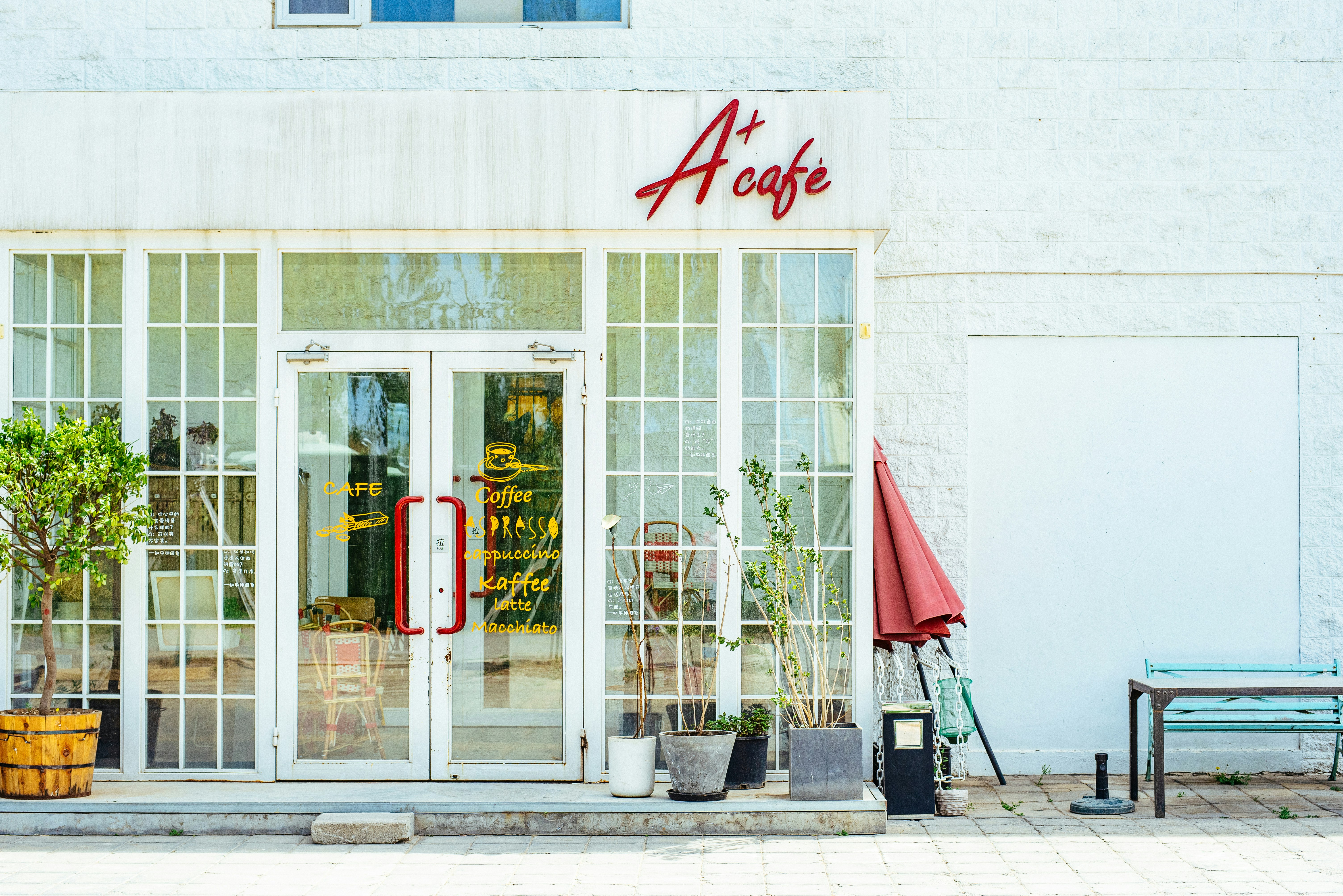 Morning Light at a Glass-Front Café: Red Script Sign and Greenery