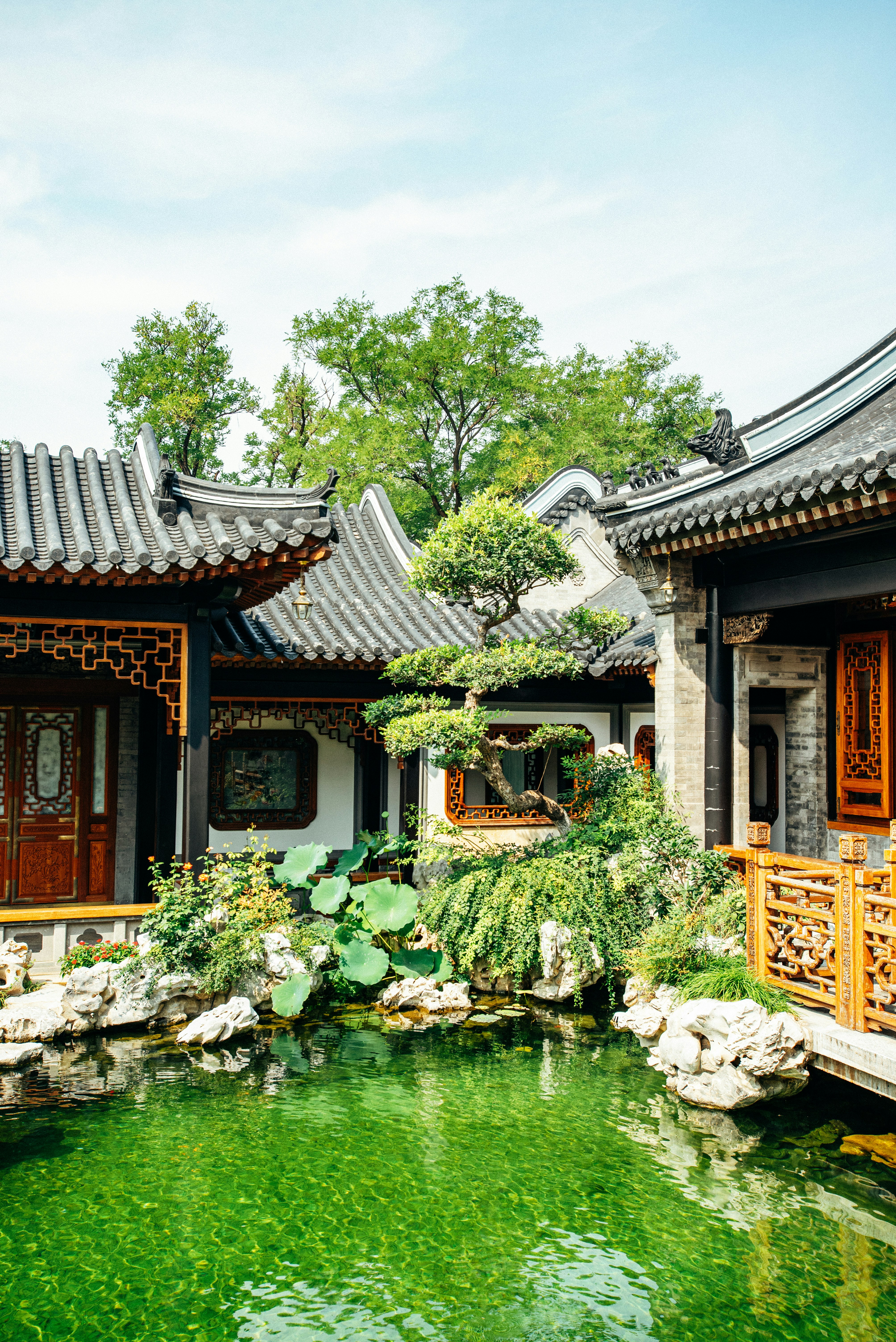 Photo by tommao wang with Nikon D750