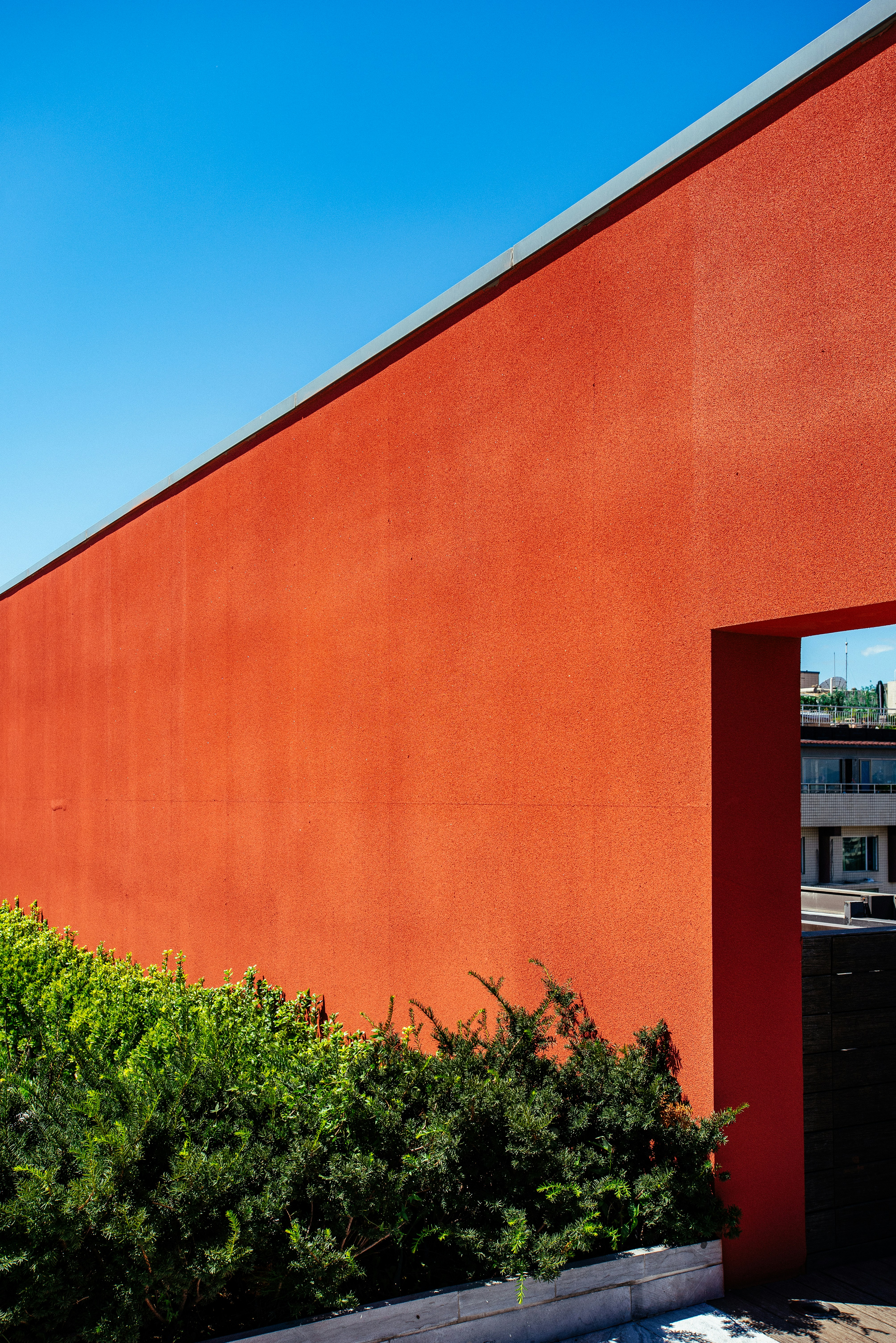 A red building with a bush in front of it photo – Free Orange Image on ...