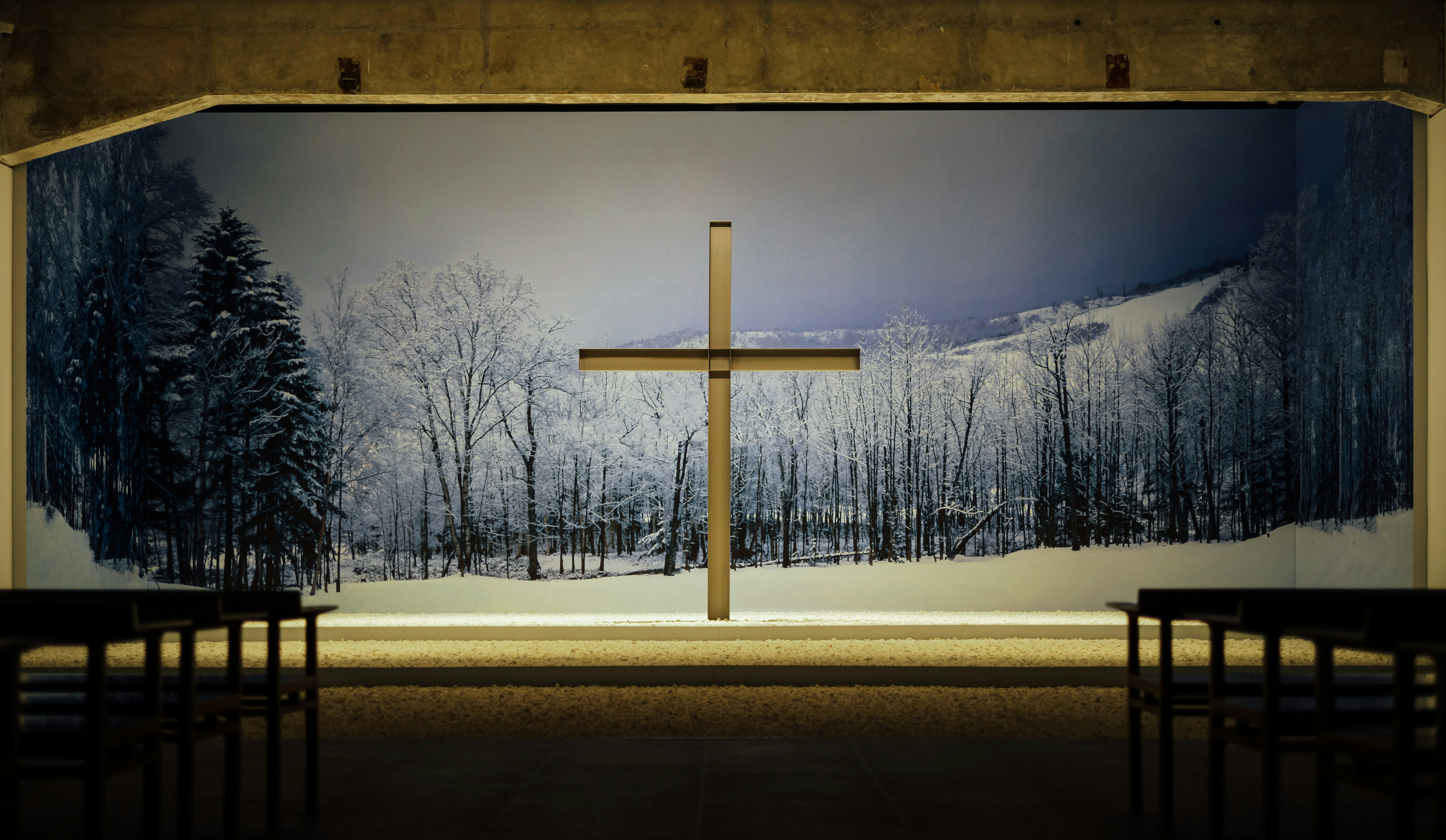 A Quiet Winter Cathedral: Cross Toward the Snow Forest