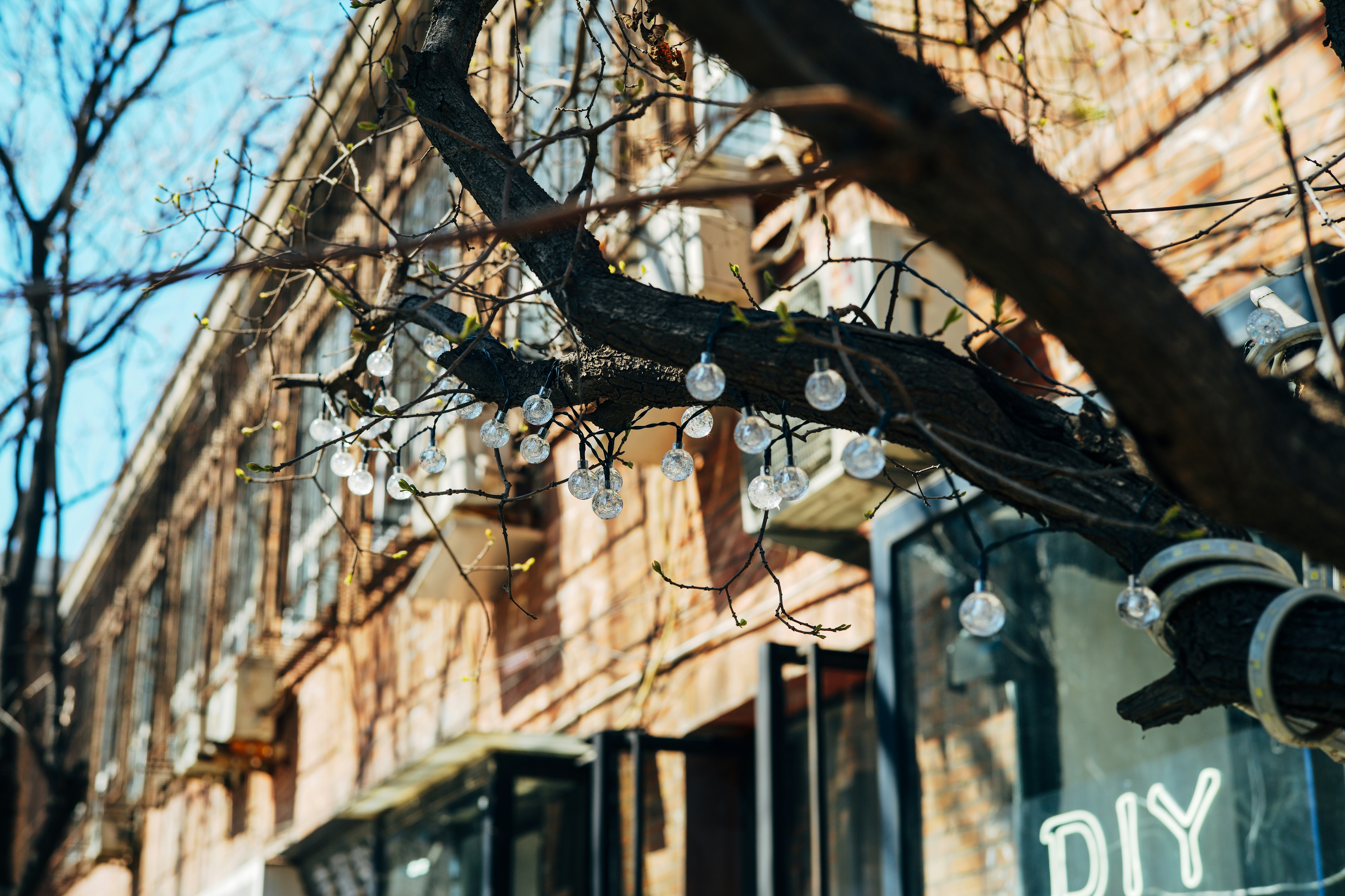 String Lights in Front of a Rustic Brick Cafe