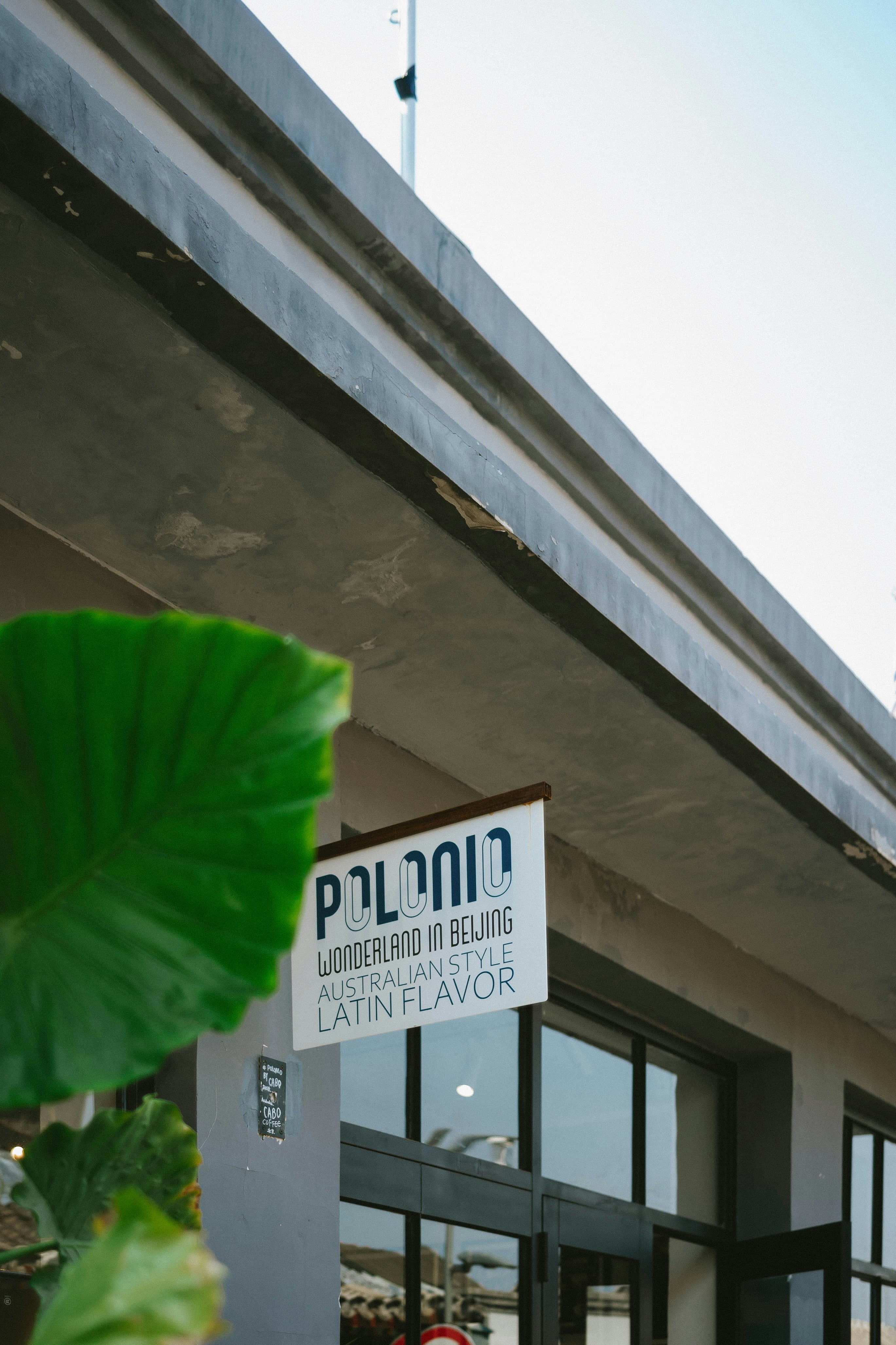 Sample photo from Leica M10-P