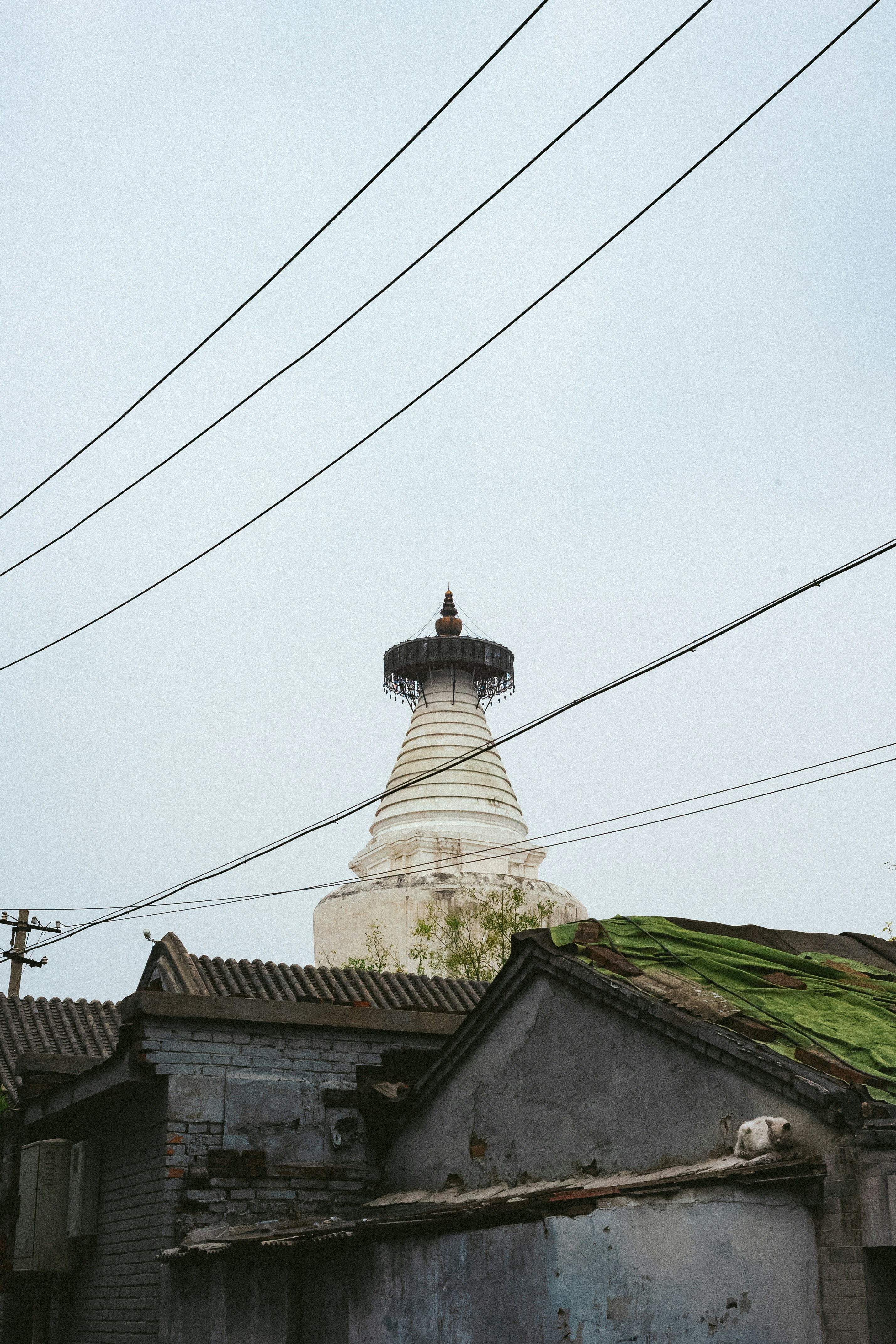 Photo by tommao wang with Leica M10-P