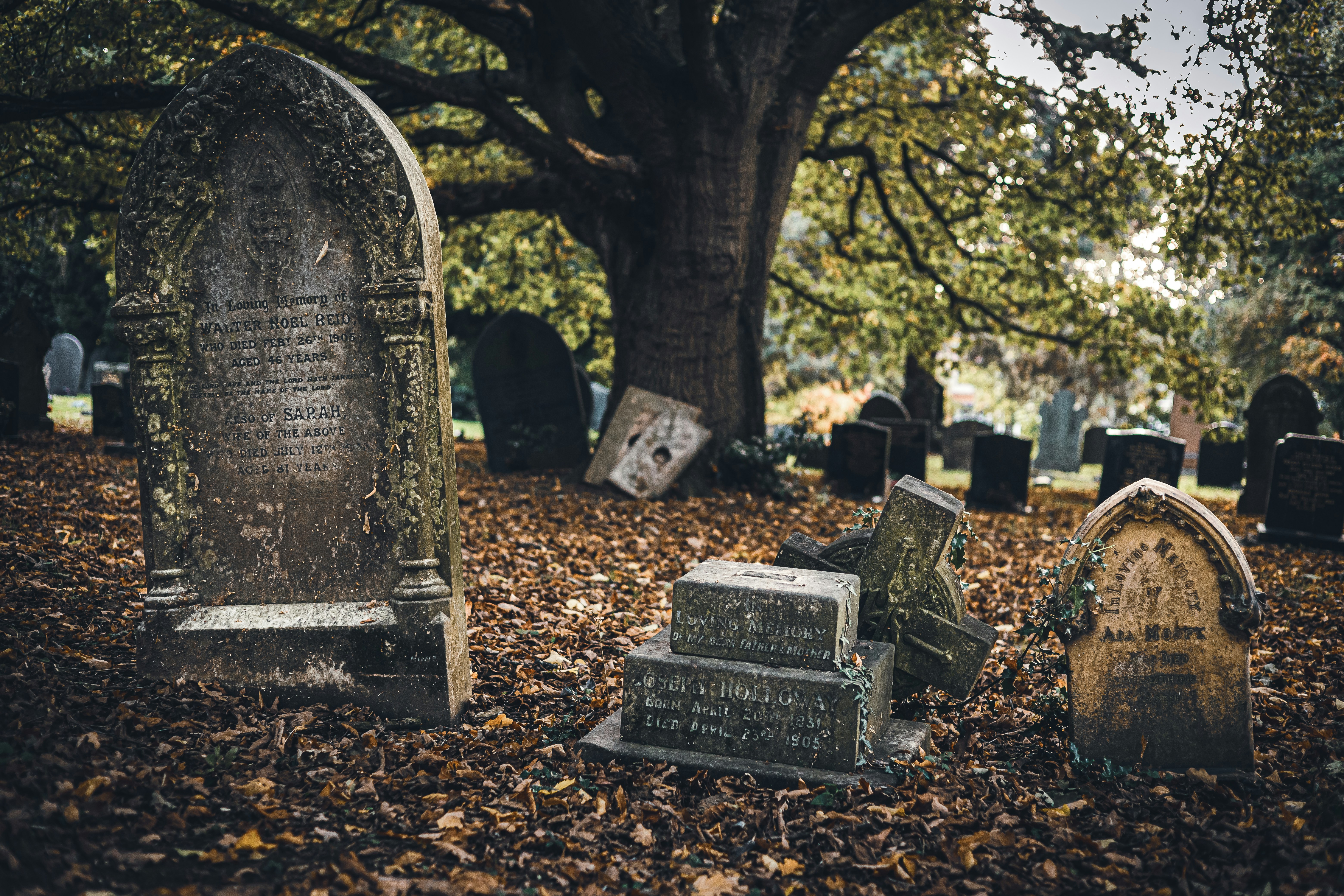 A cemetery with many gravestones photo – Free Church yard Image on Unsplash
