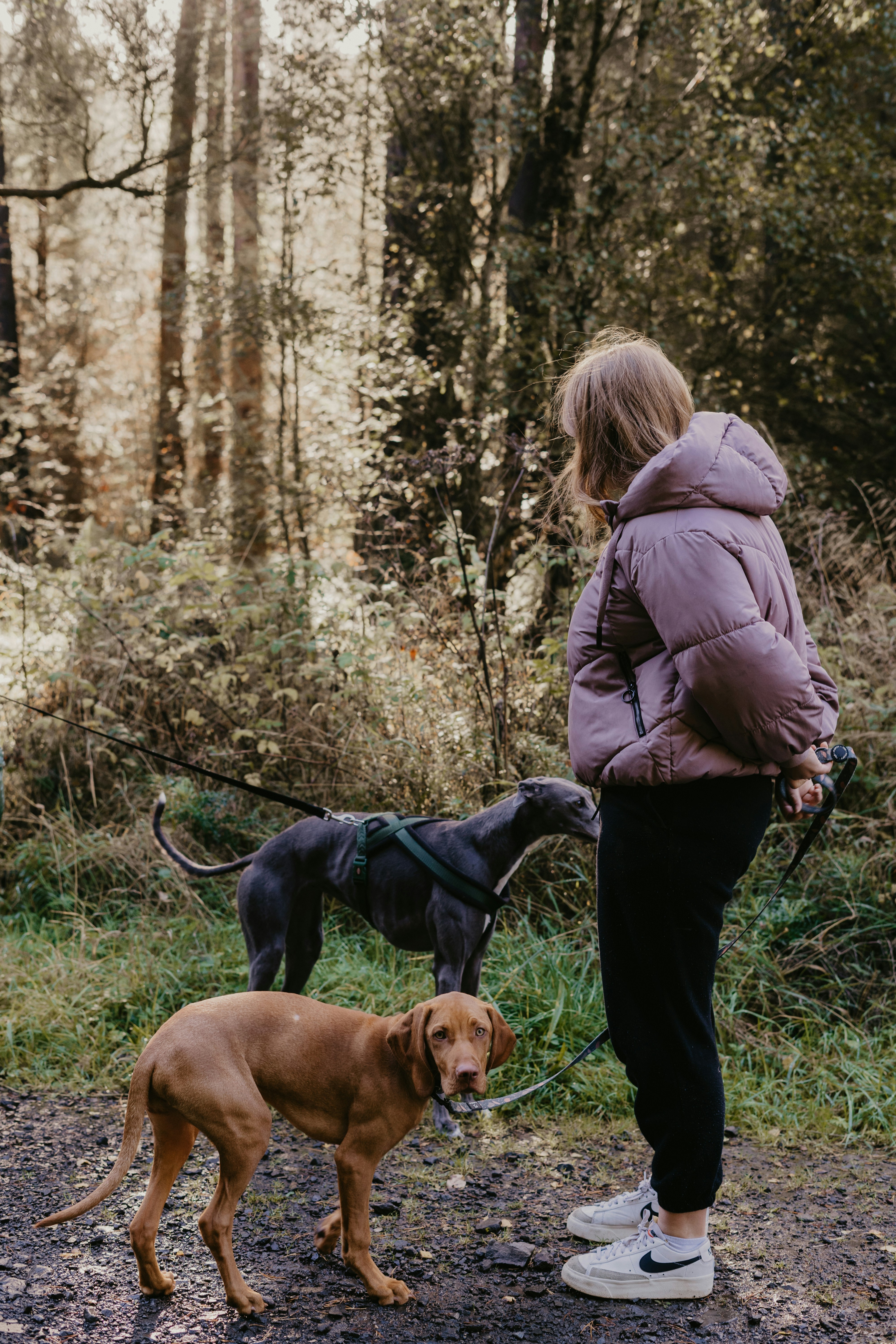 Photo by Toa Heftiba with Sony Alpha 7 II