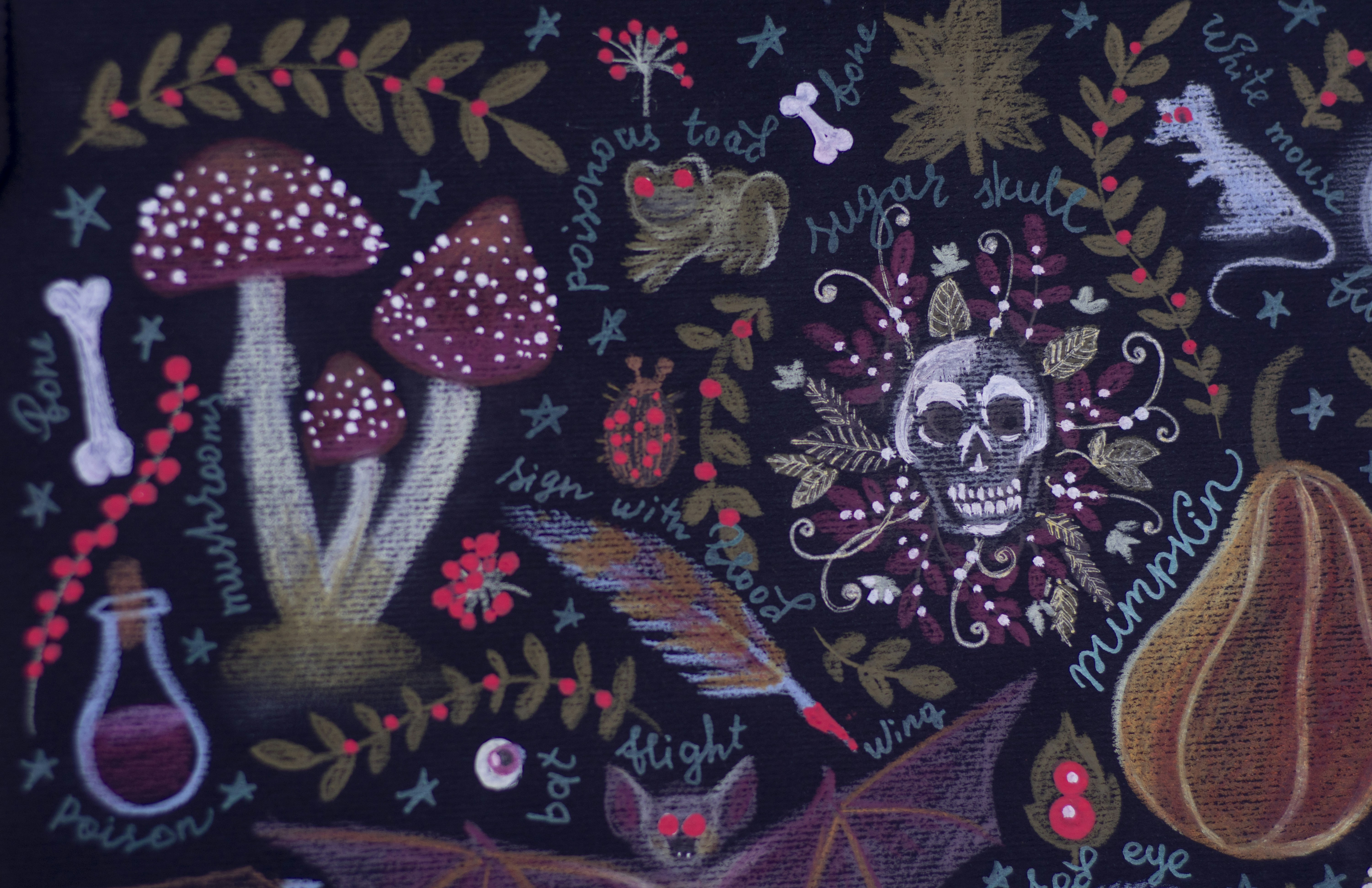 Voodoo Pictures | Download Free Images on Unsplash