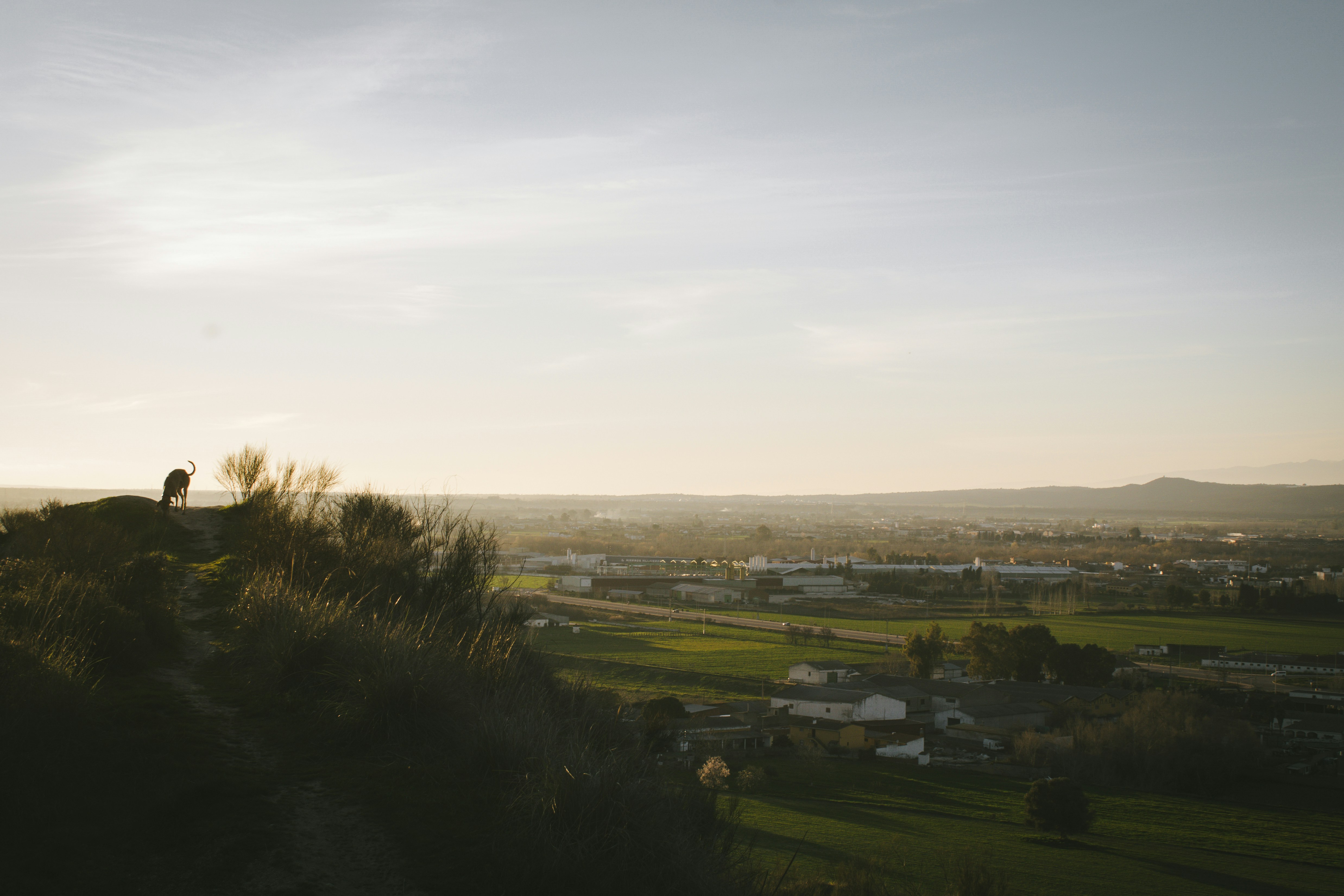 Silhouette of a person standing on a hill overlooking a sunlit rural landscape with scattered houses and fields under a vast sky.