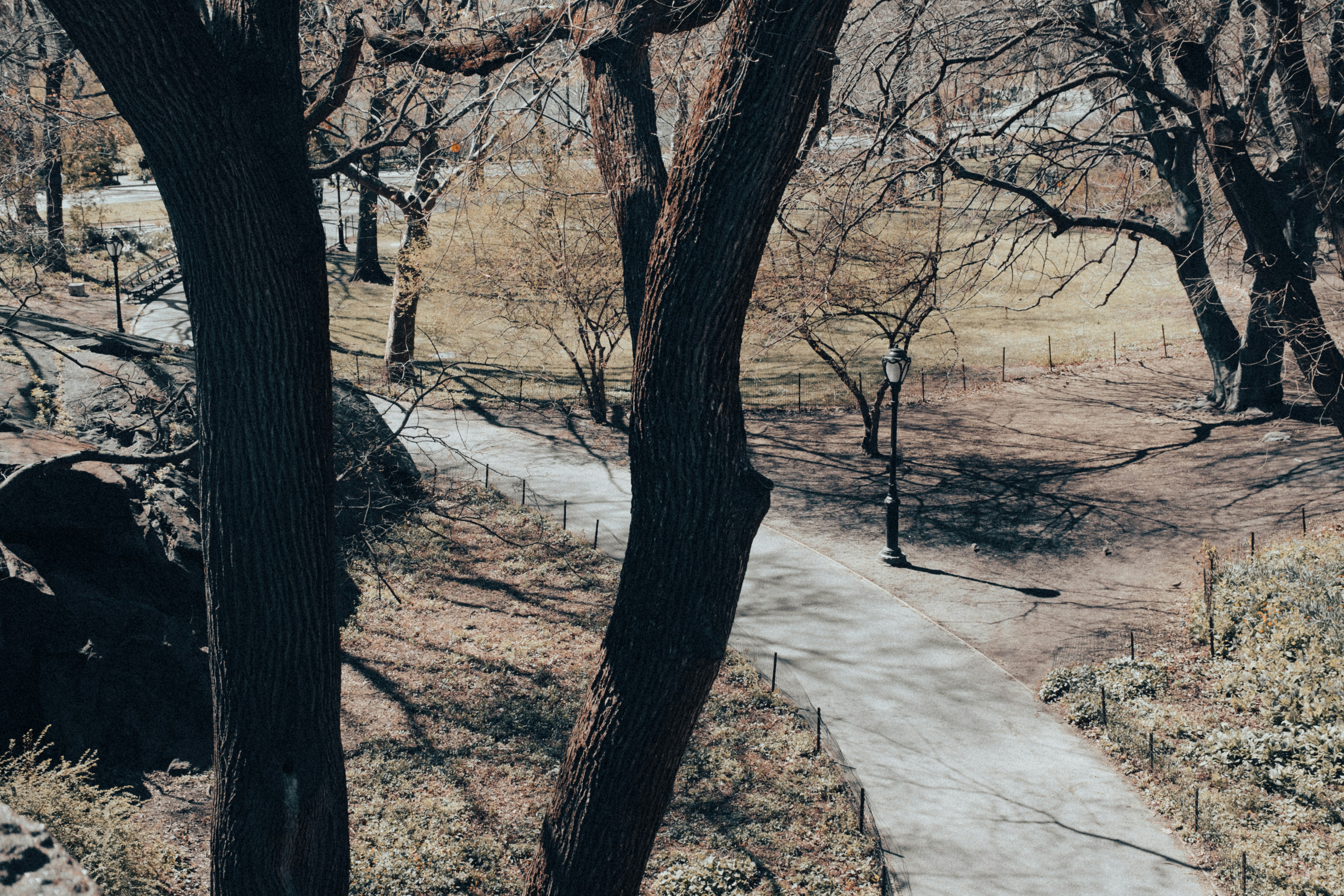 Foto Un camino a través de un bosque – Imagen Nueva York gratis en Unsplash