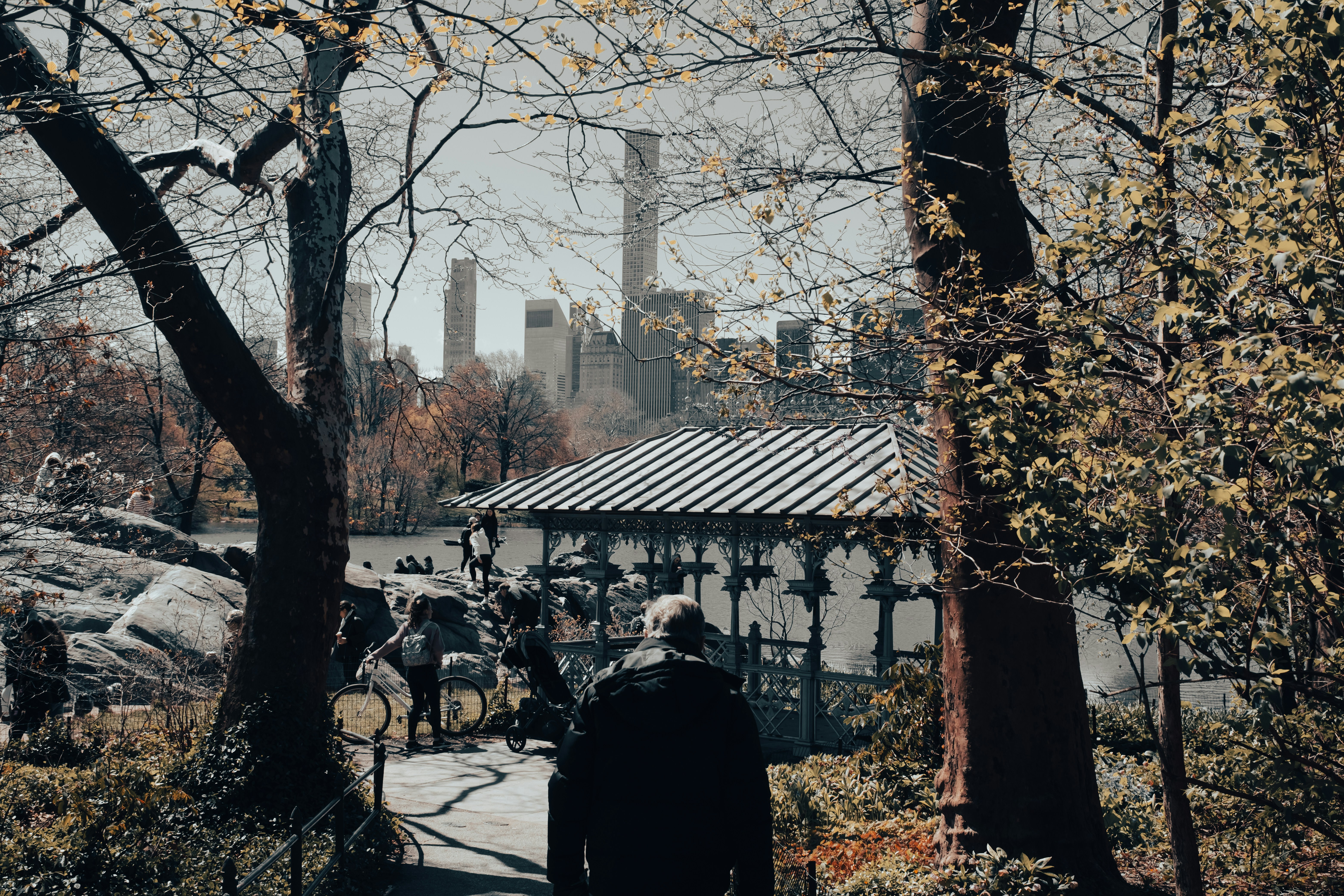 Footpath Reverie: A Lone Walker Framing a City Skyline Beyond Autumn Trees