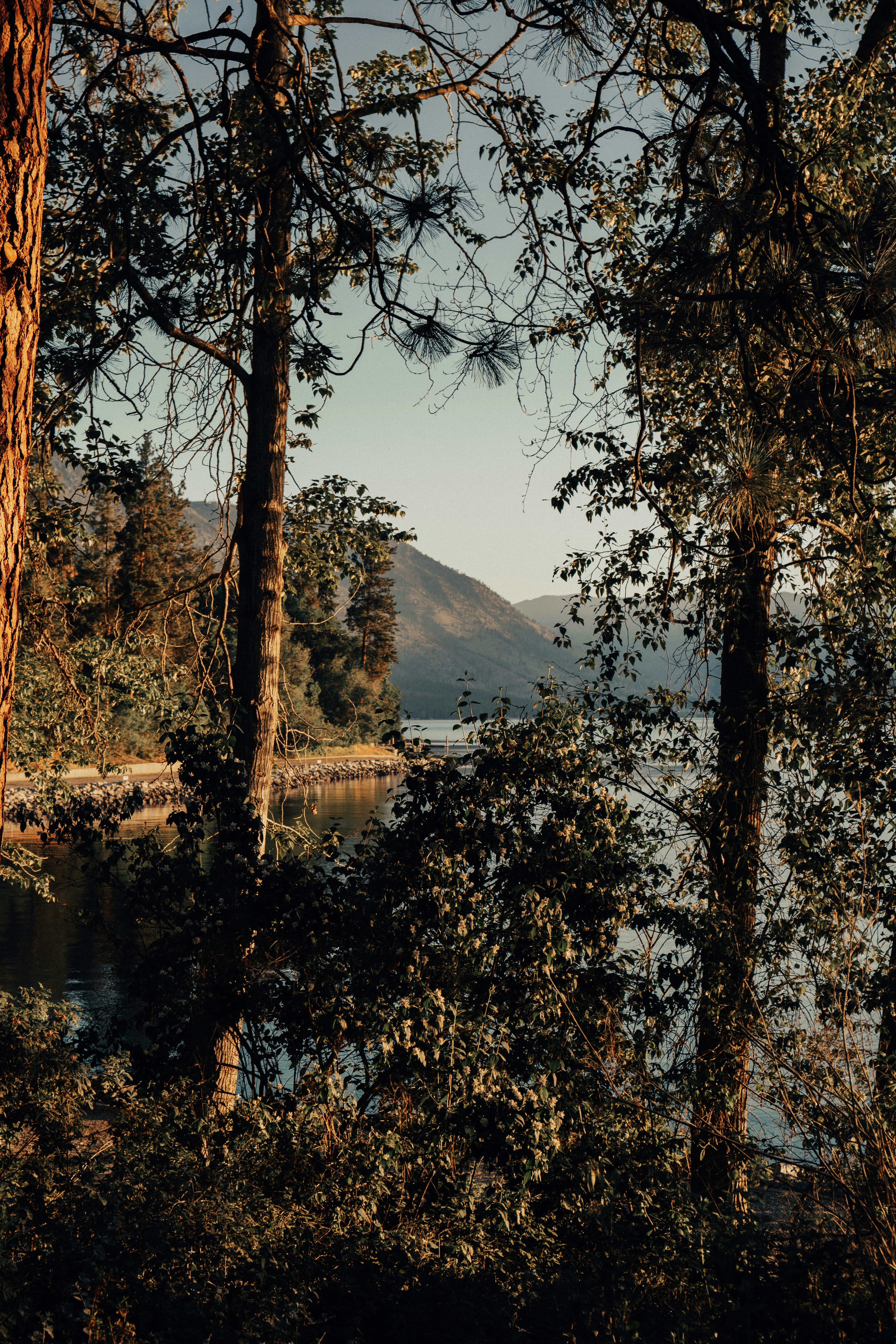 Calming Background Pictures | Download Free Images on Unsplash