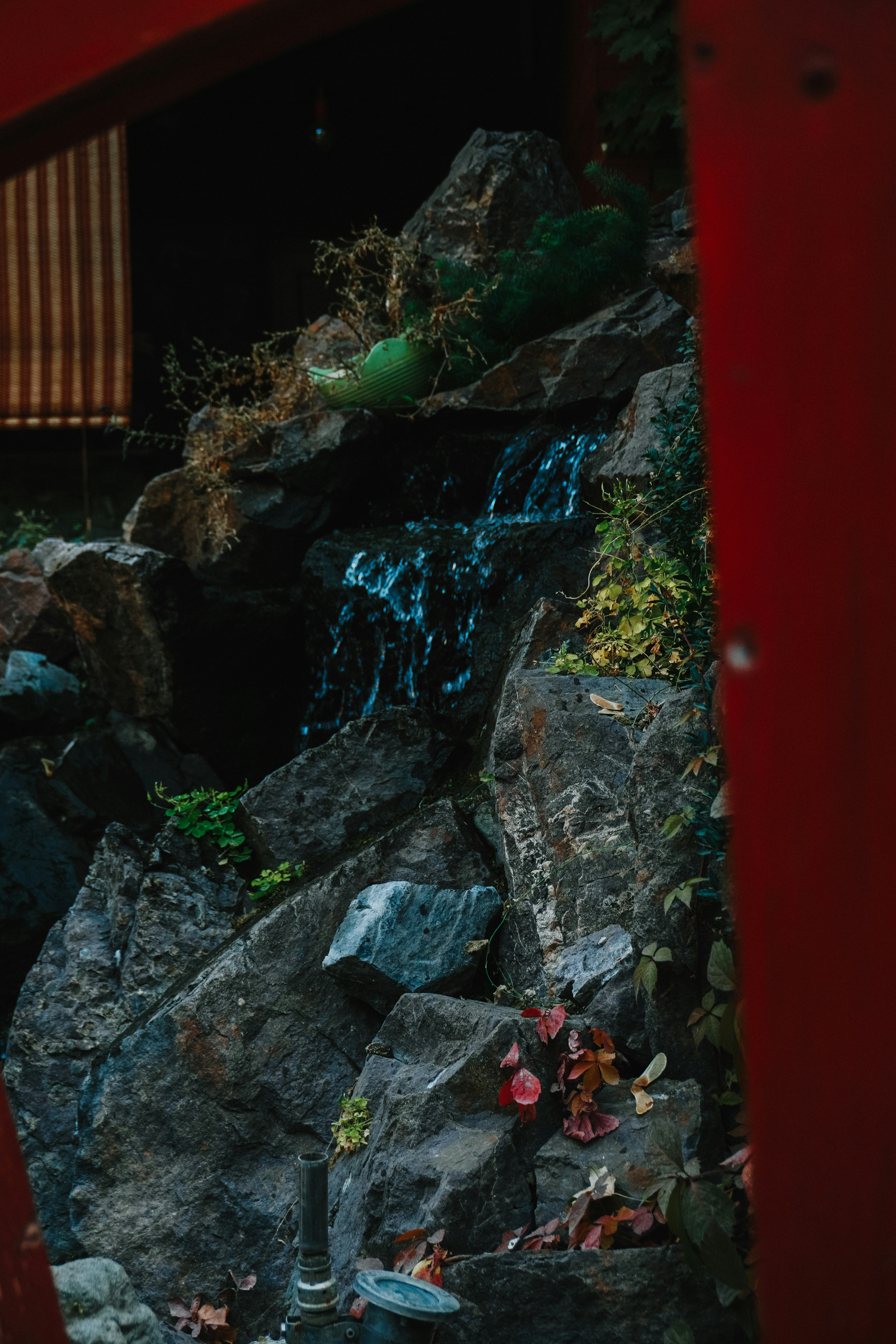 a small pond with rocks and plants