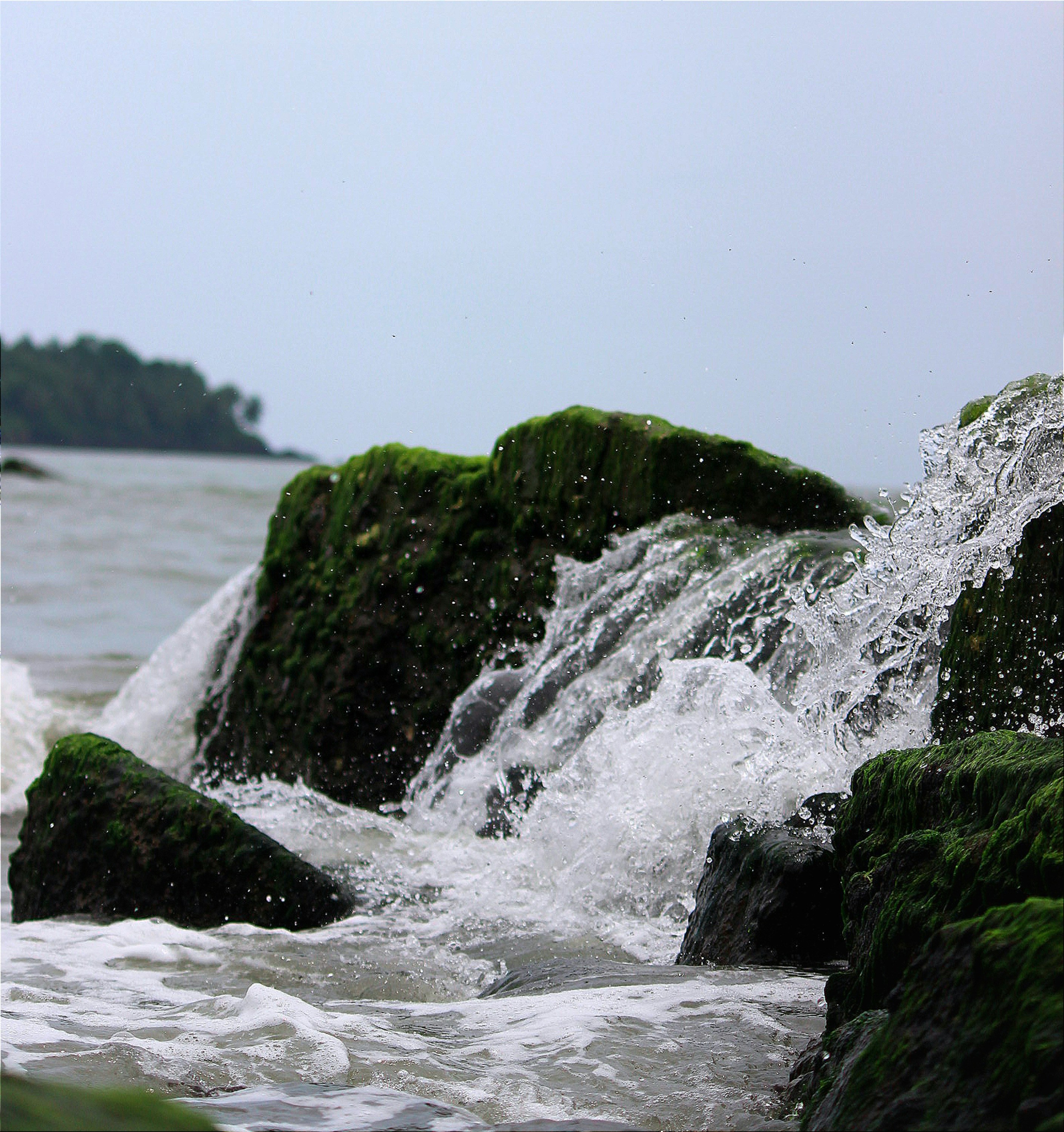 Moss-Crowned Rocks Meet the Wake