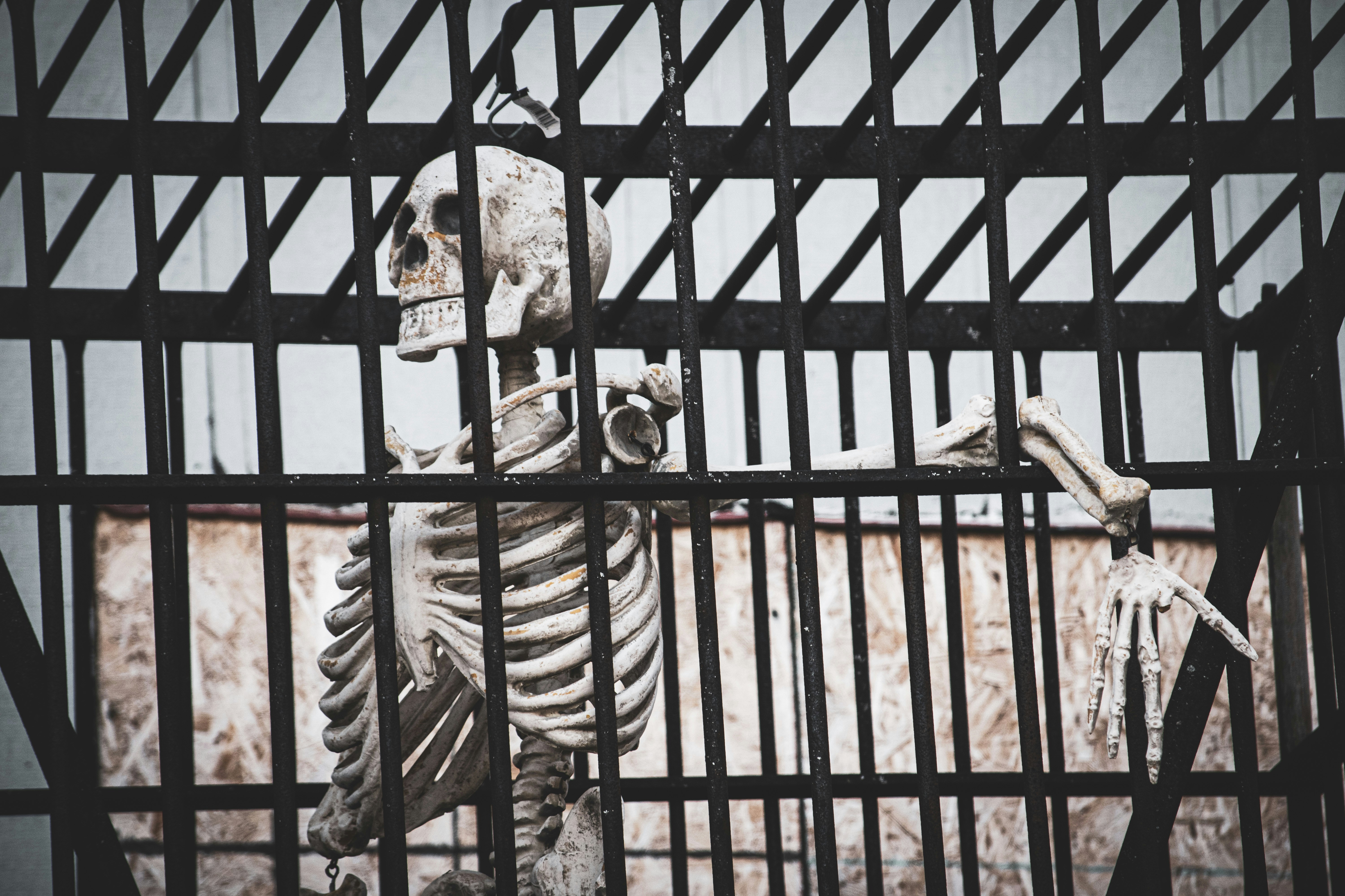 A skeleton in a cage photo – Free Grey Image on Unsplash