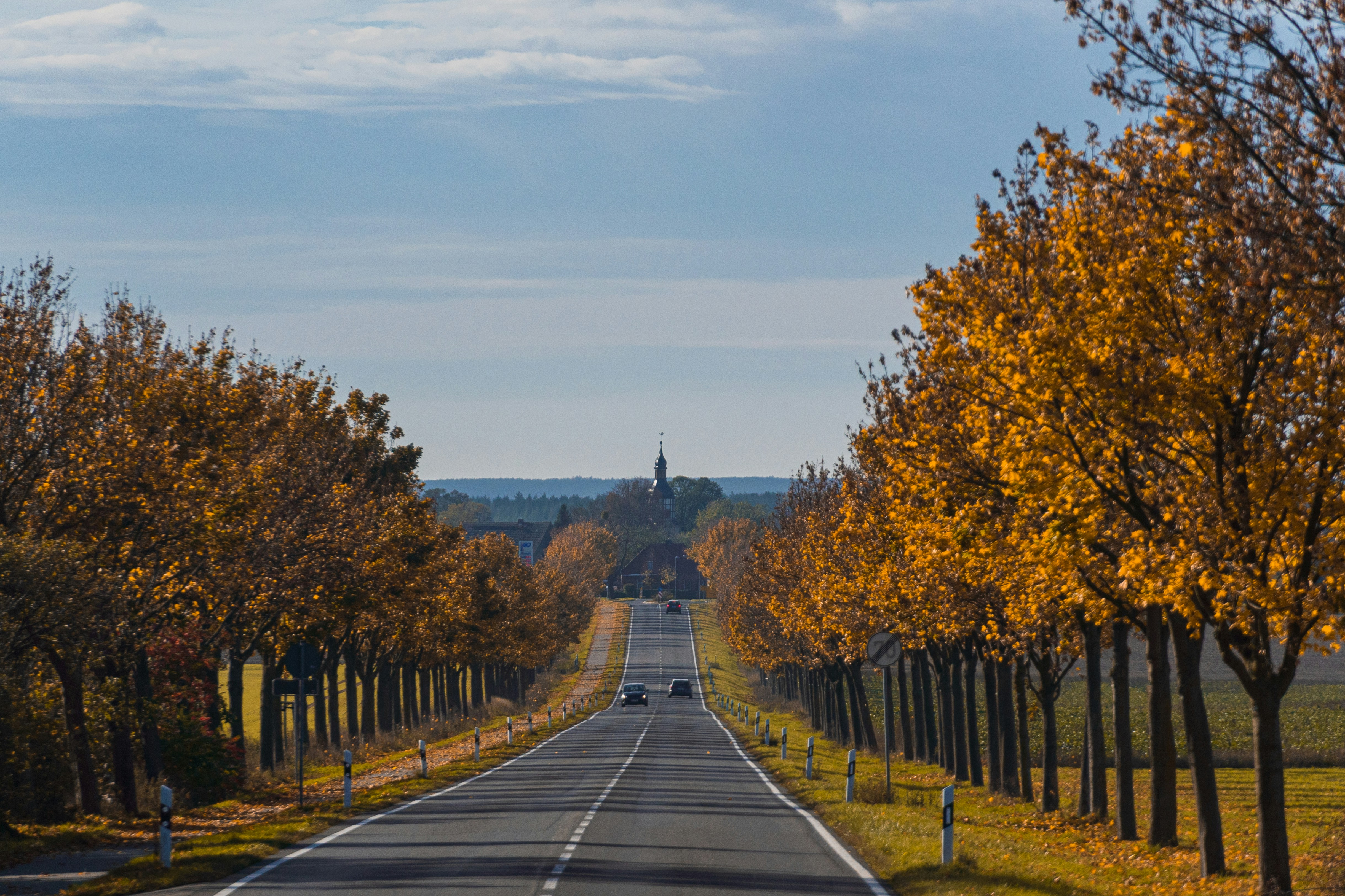 Vanishing Avenue: Autumn Road Toward a Distant Spire