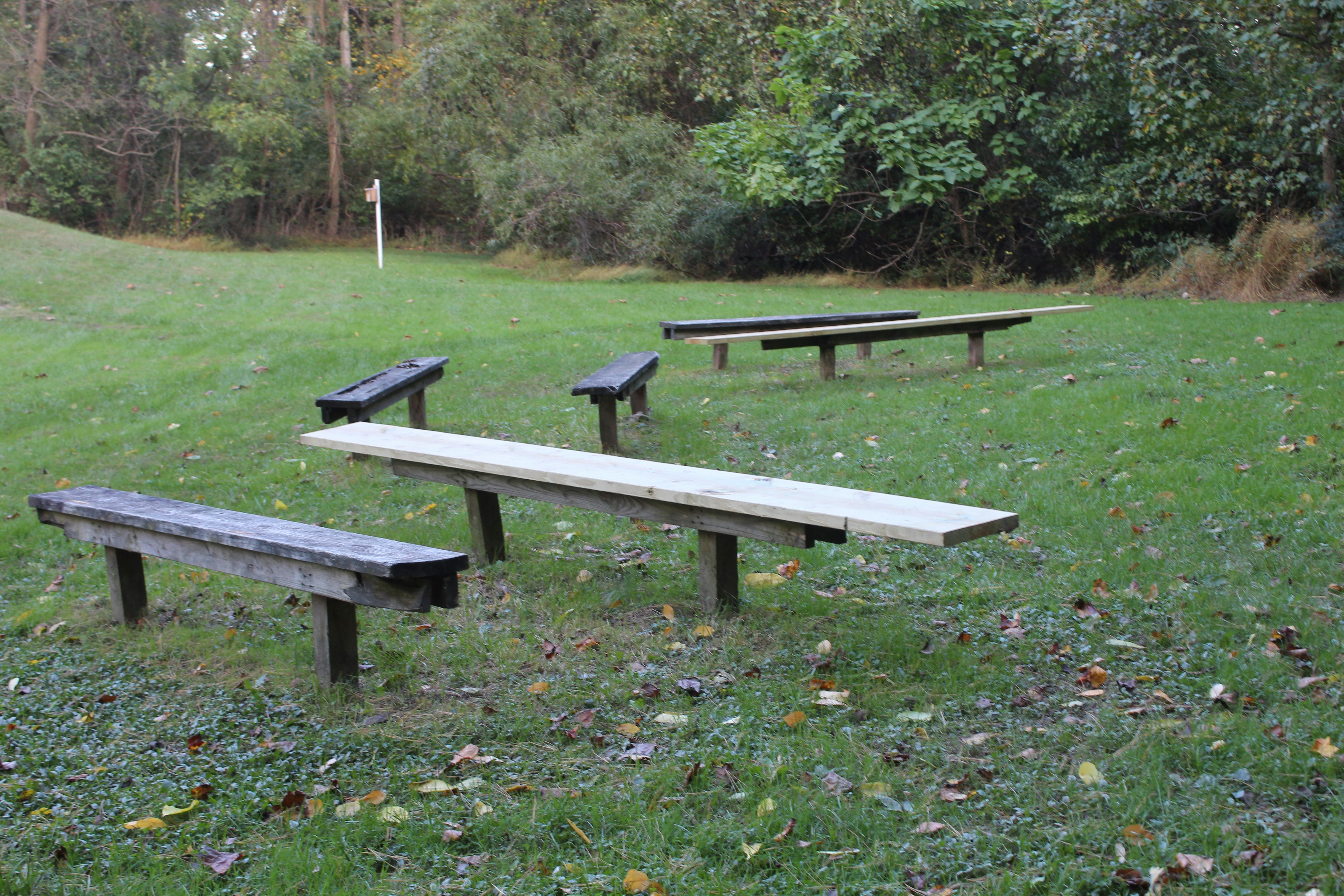 A group of benches sit in a park photo – Free Grey Image on Unsplash