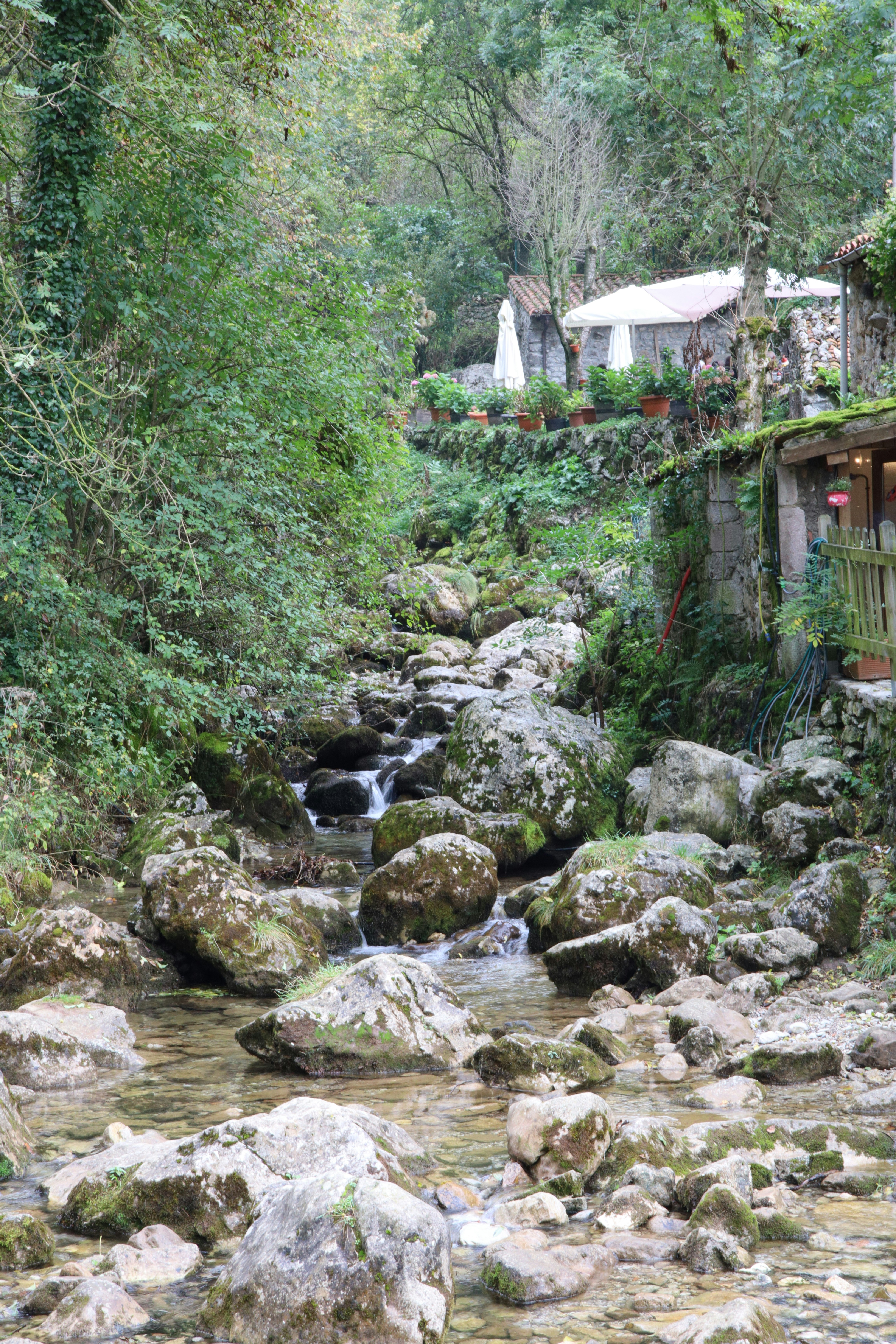 A stream with rocks and trees photo – Free Spain Image on Unsplash
