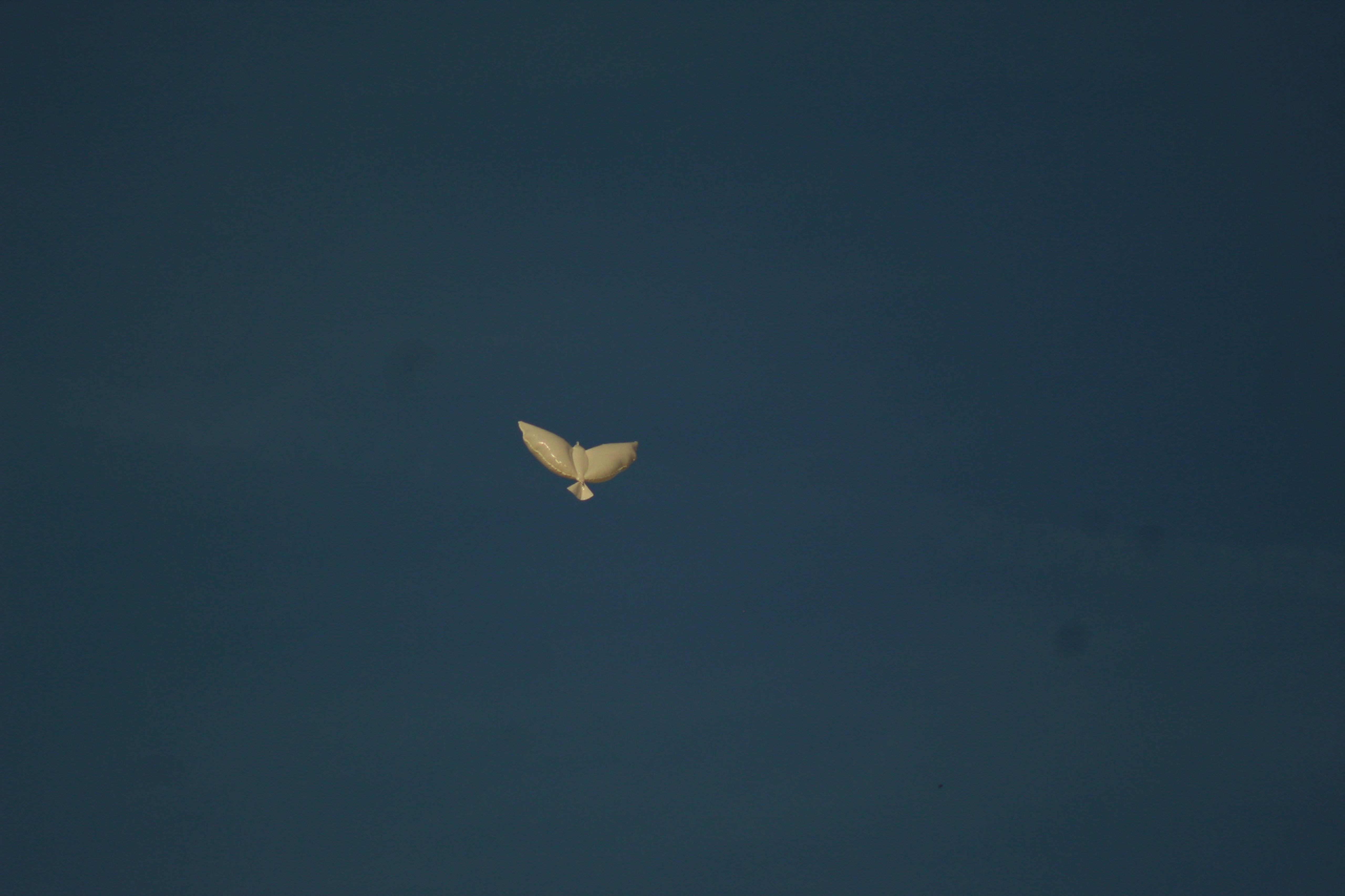 A white blob in the sky photo – Free Grey Image on Unsplash