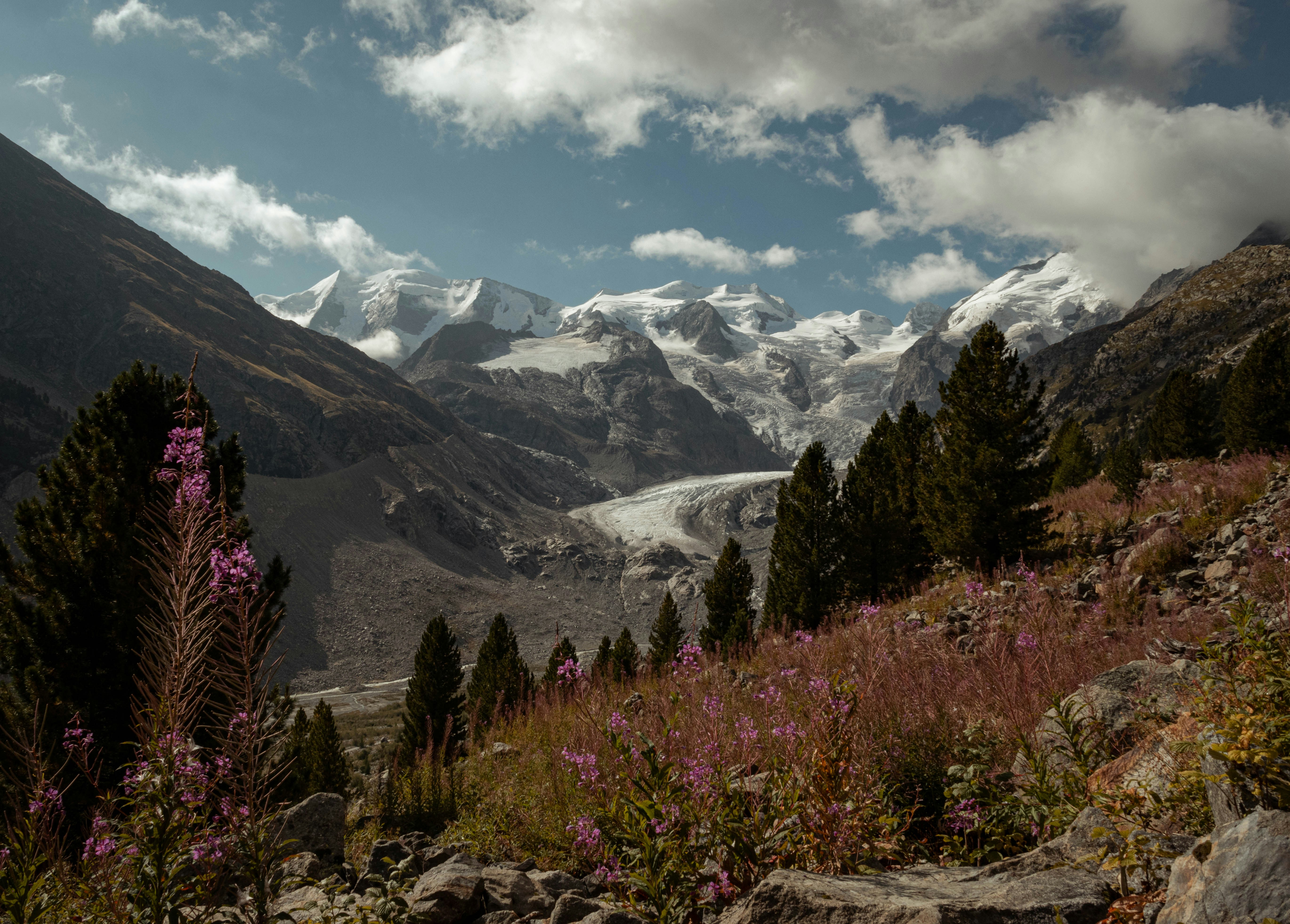 On the way up to Boval Cabin with a spectacular view on the fading Morterasch Glacier during summer