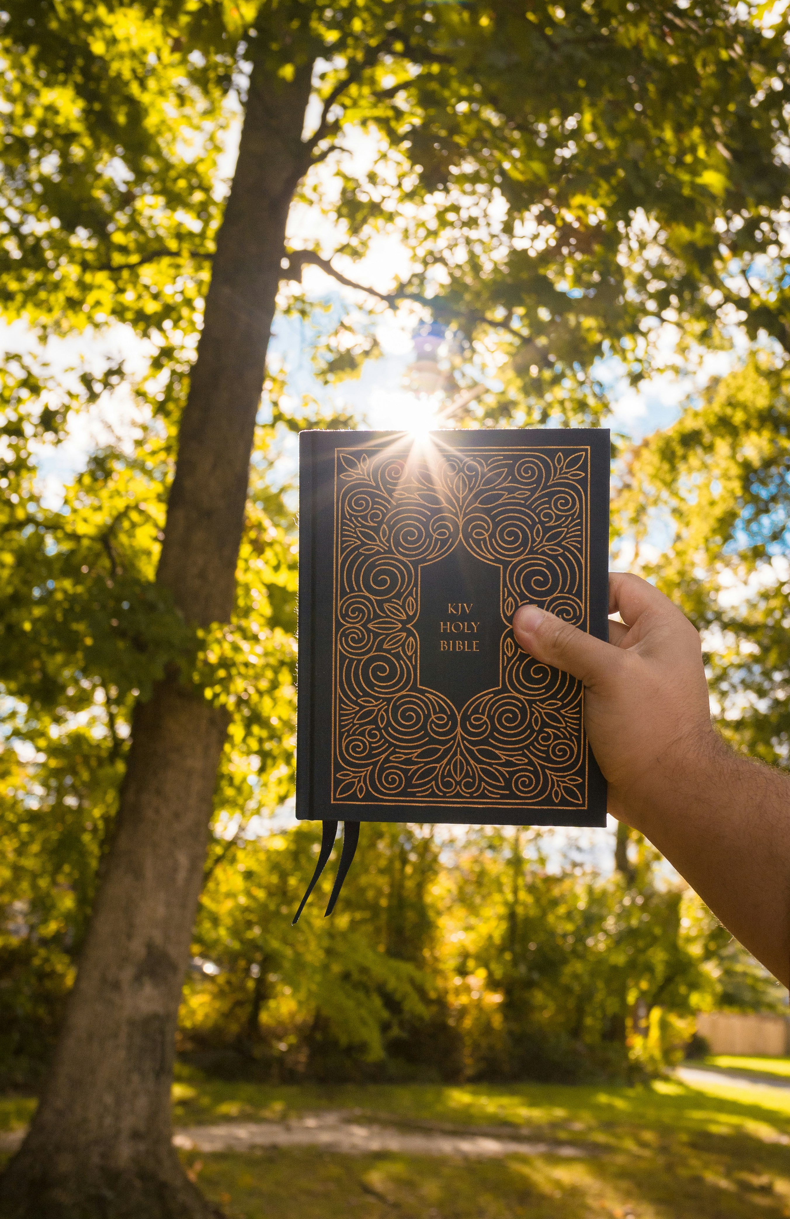 Sunflare Over a Handheld Bible in a Forest Clearing
