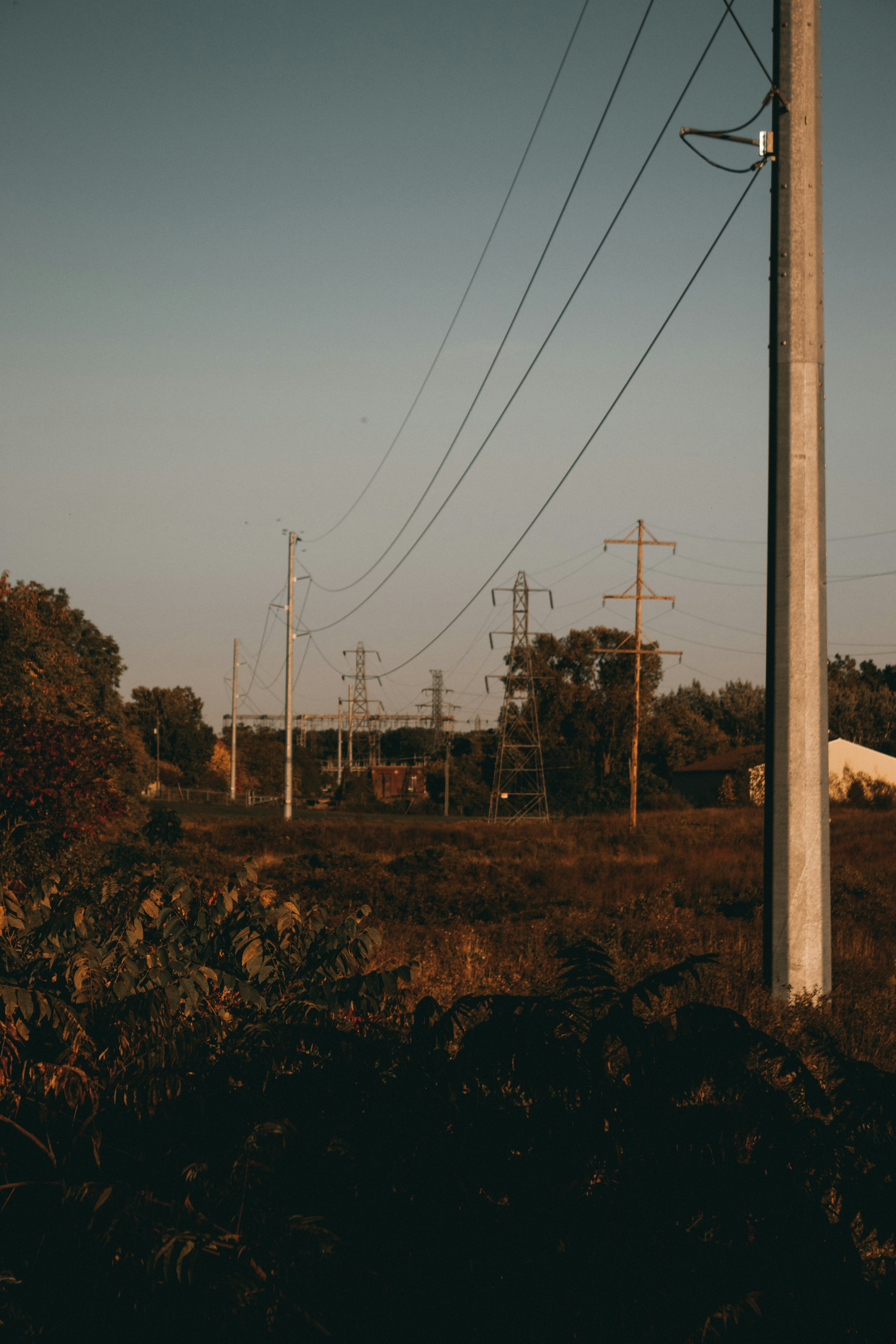 Horizon Wires: Evening Lines Across a Quiet Field