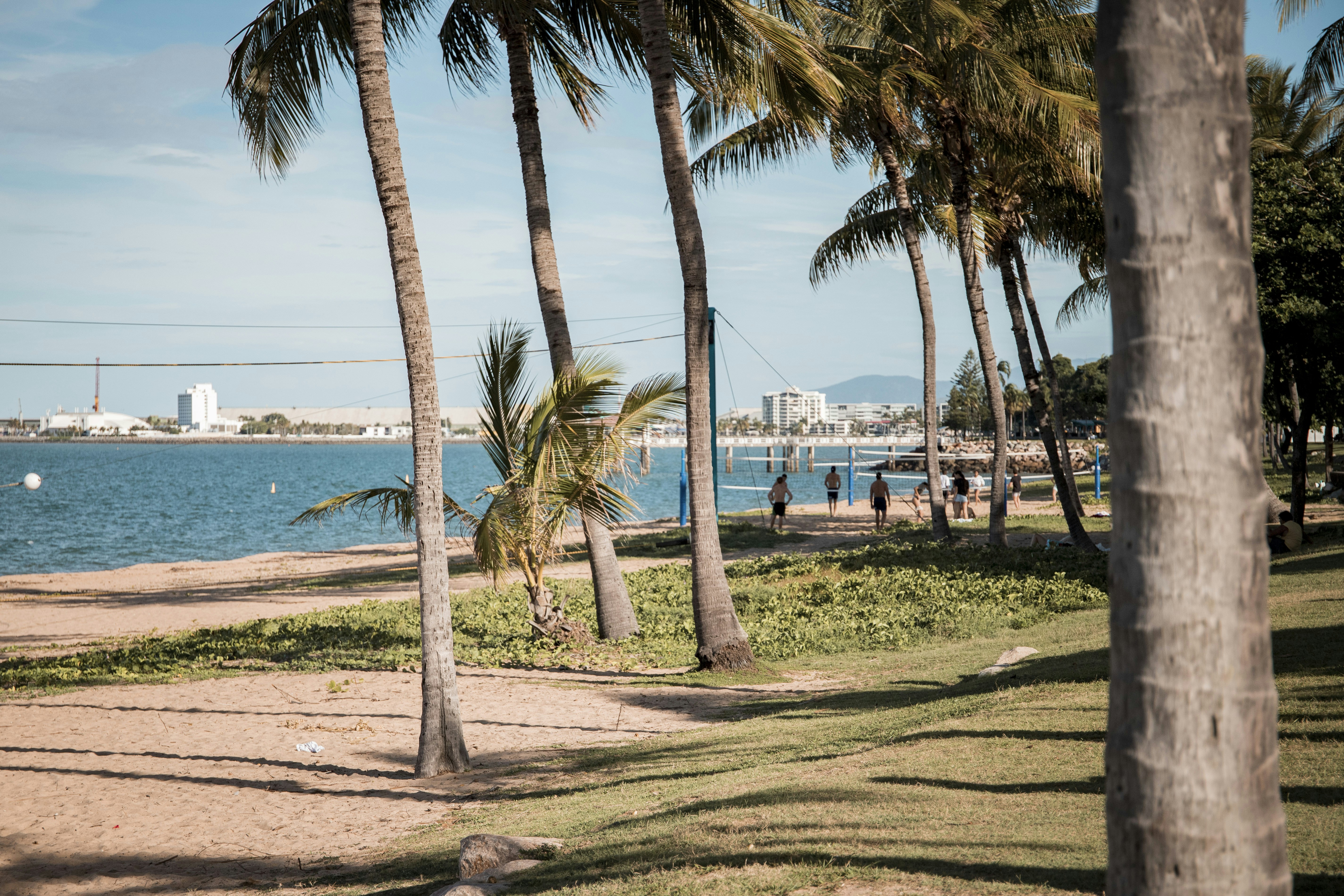 a beach with palm trees and water