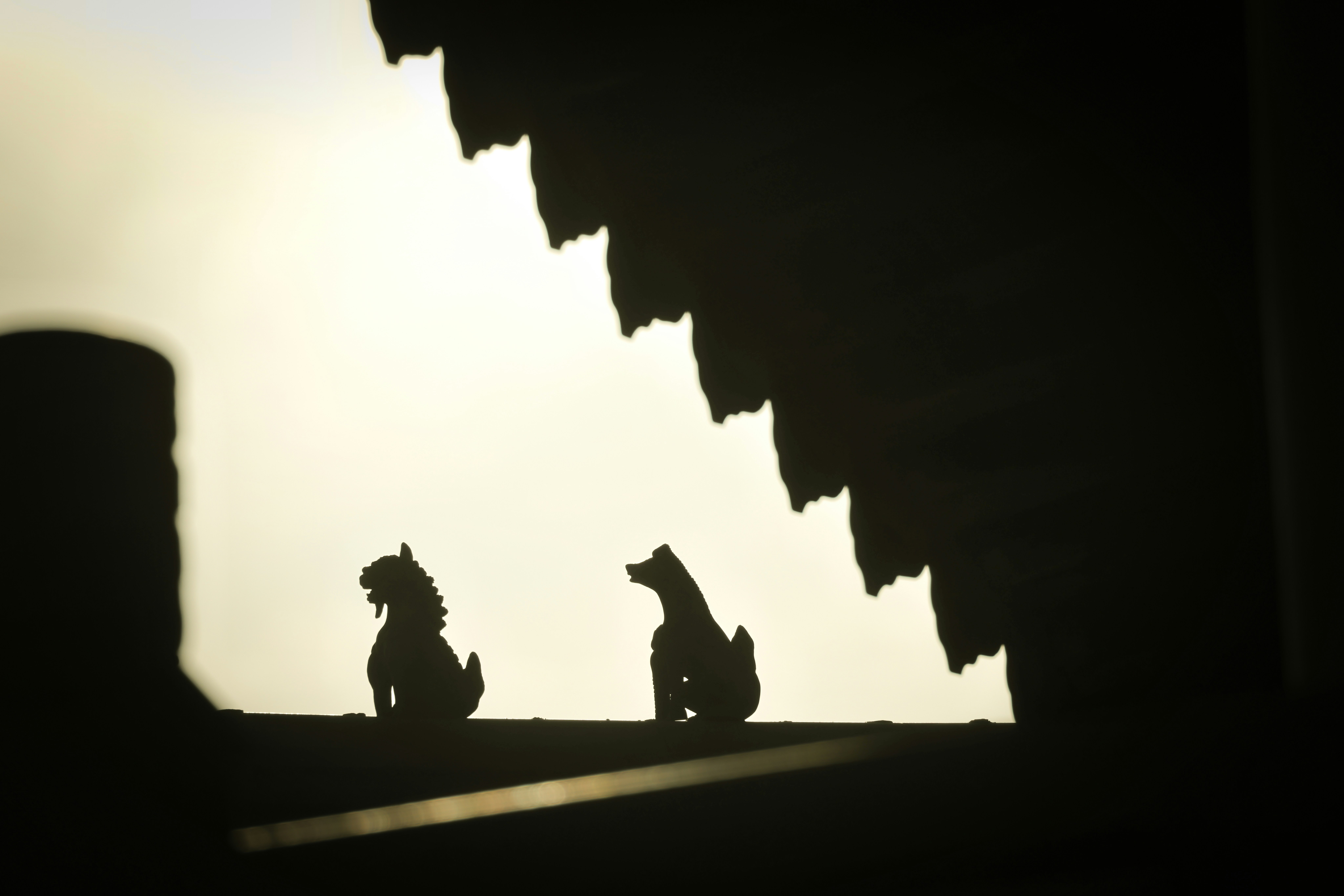 Perched Silhouettes on a Sunlit Rooftop Ridge