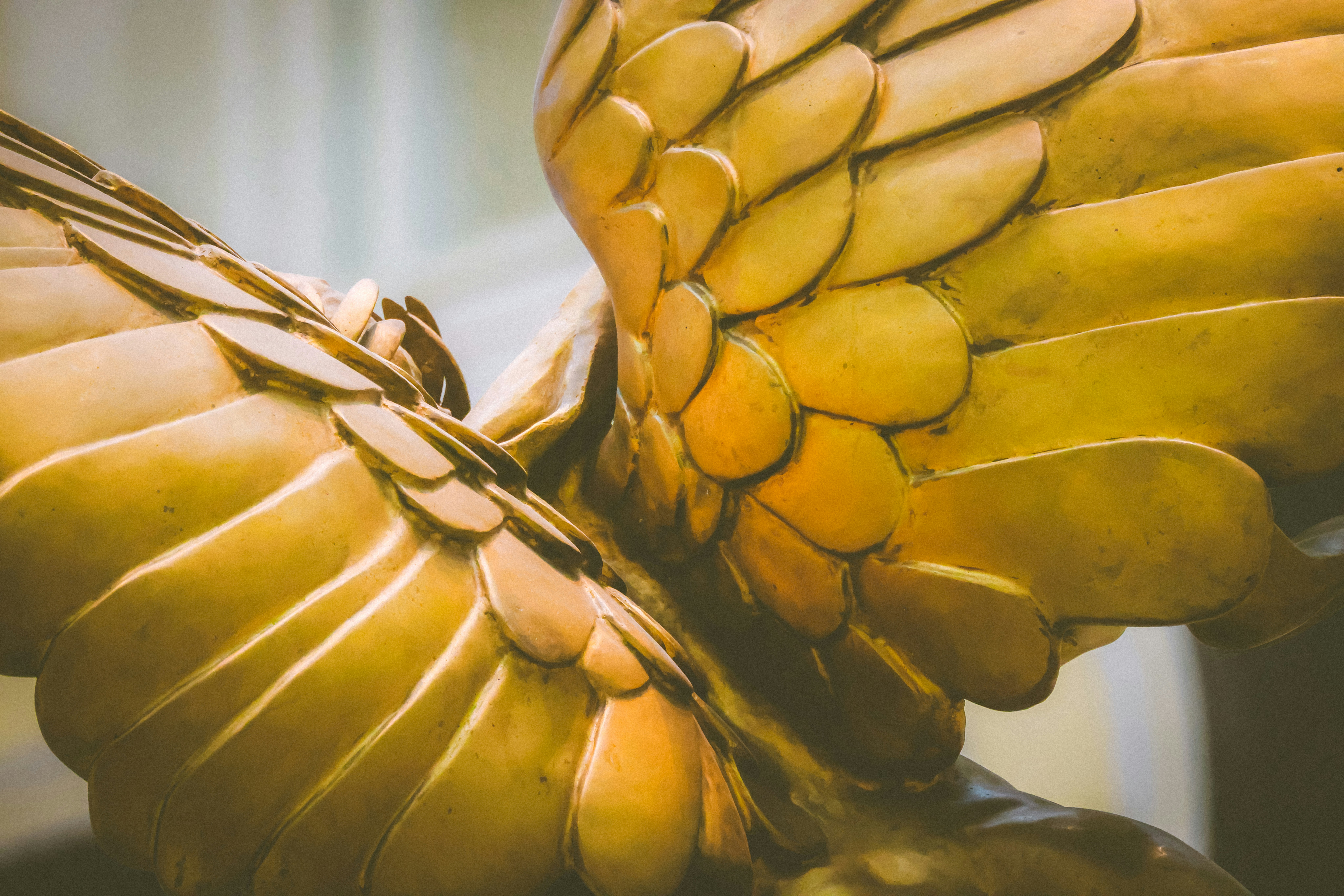 Golden Scales in Sunlit Curves