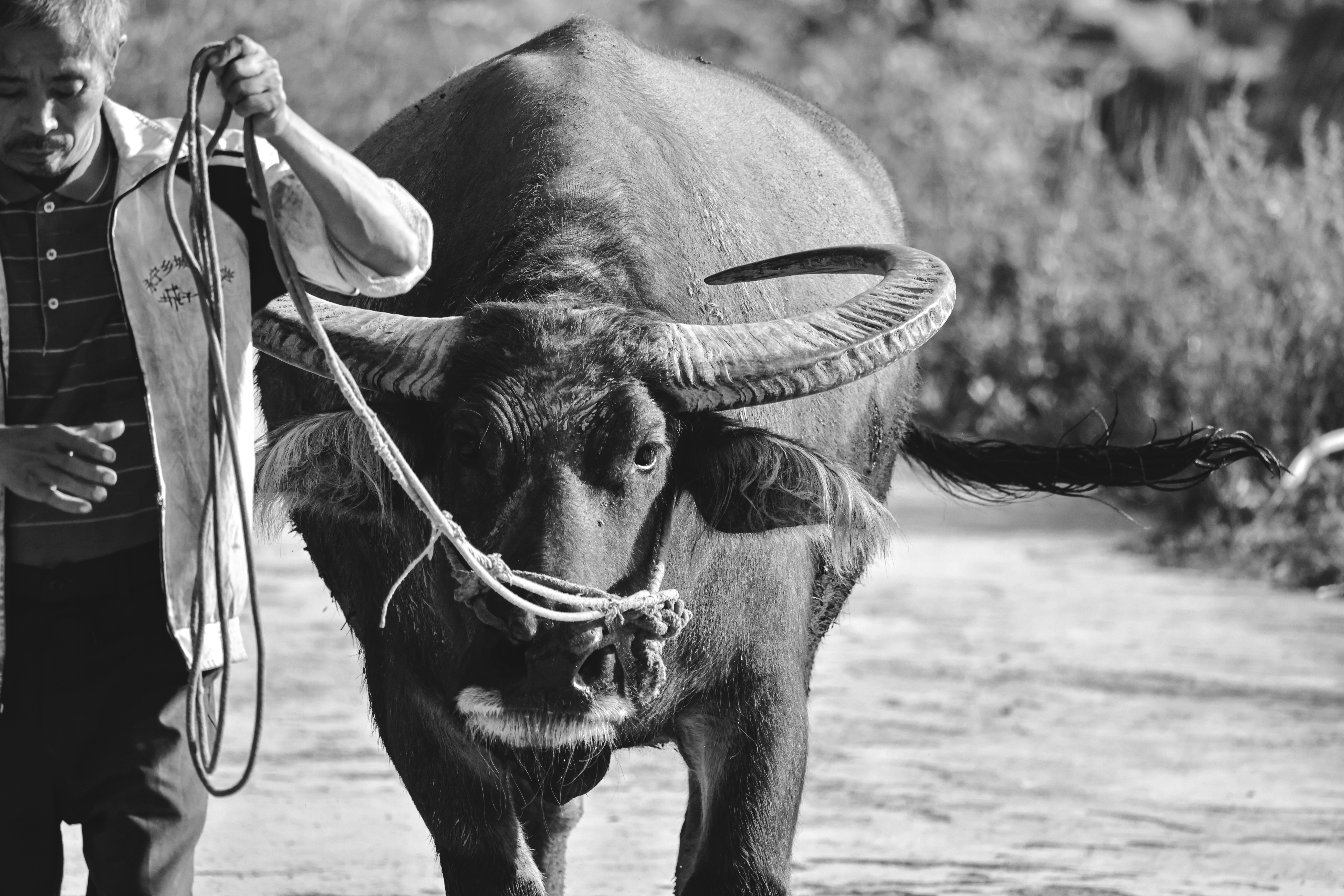 Photo by Xiangkun ZHU with Canon EOS R5