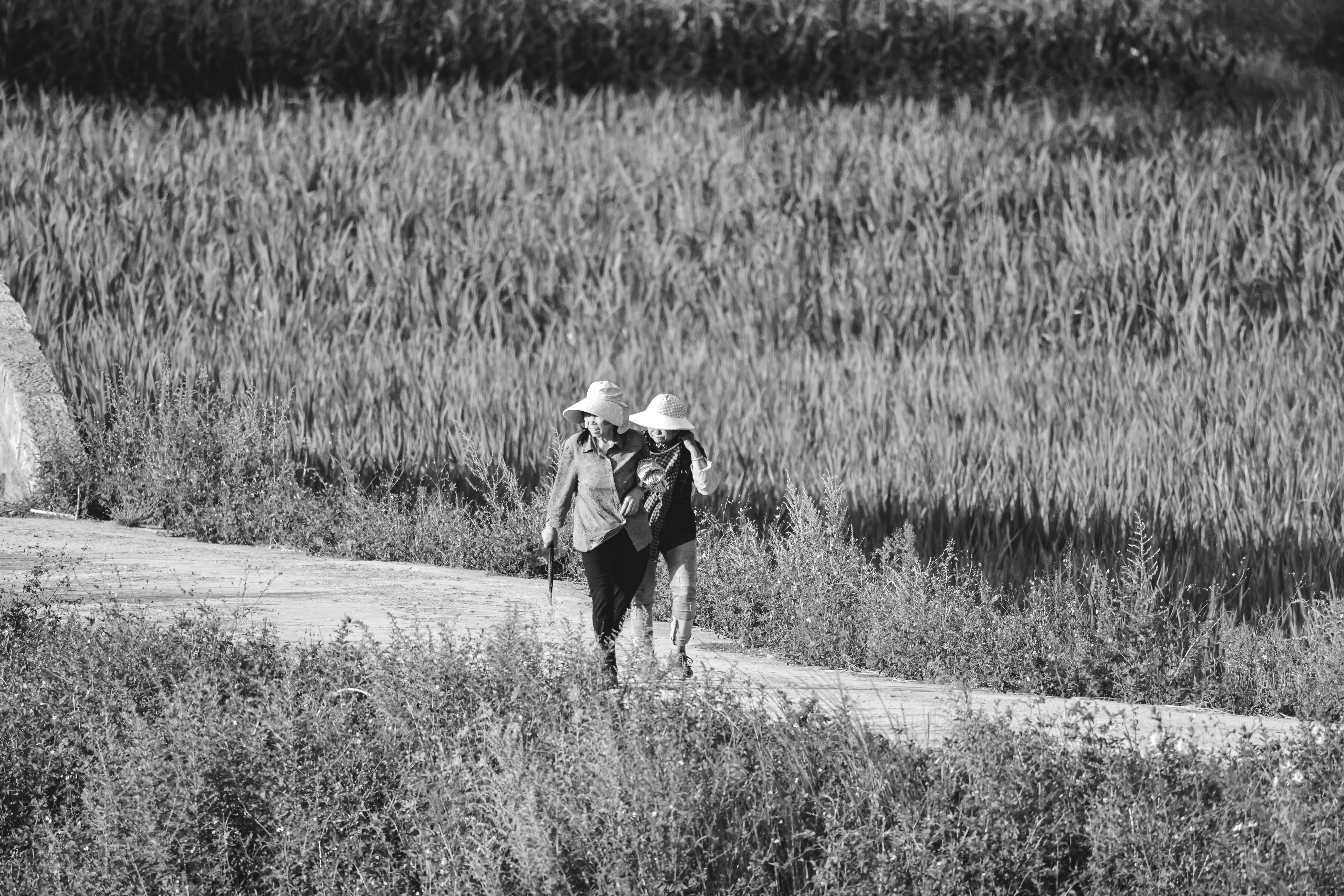 Quiet Crossing: Two Wanderers on a Narrow Dirt Path among Tall Grasses